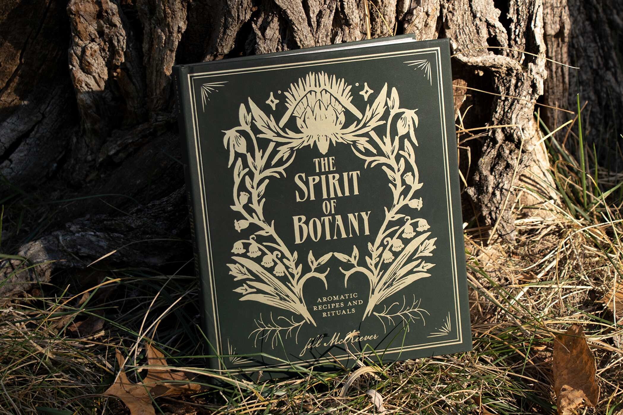 The Spirit of Botany | Book by Jill McKeever | Official Publisher Page ...