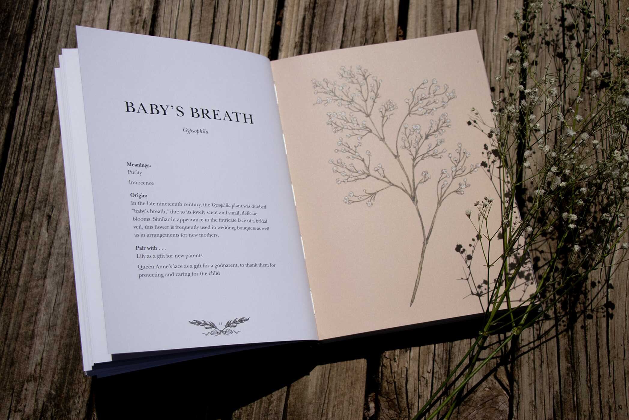 Floriography | Book by Jessica Roux | Official Publisher Page | Simon ...