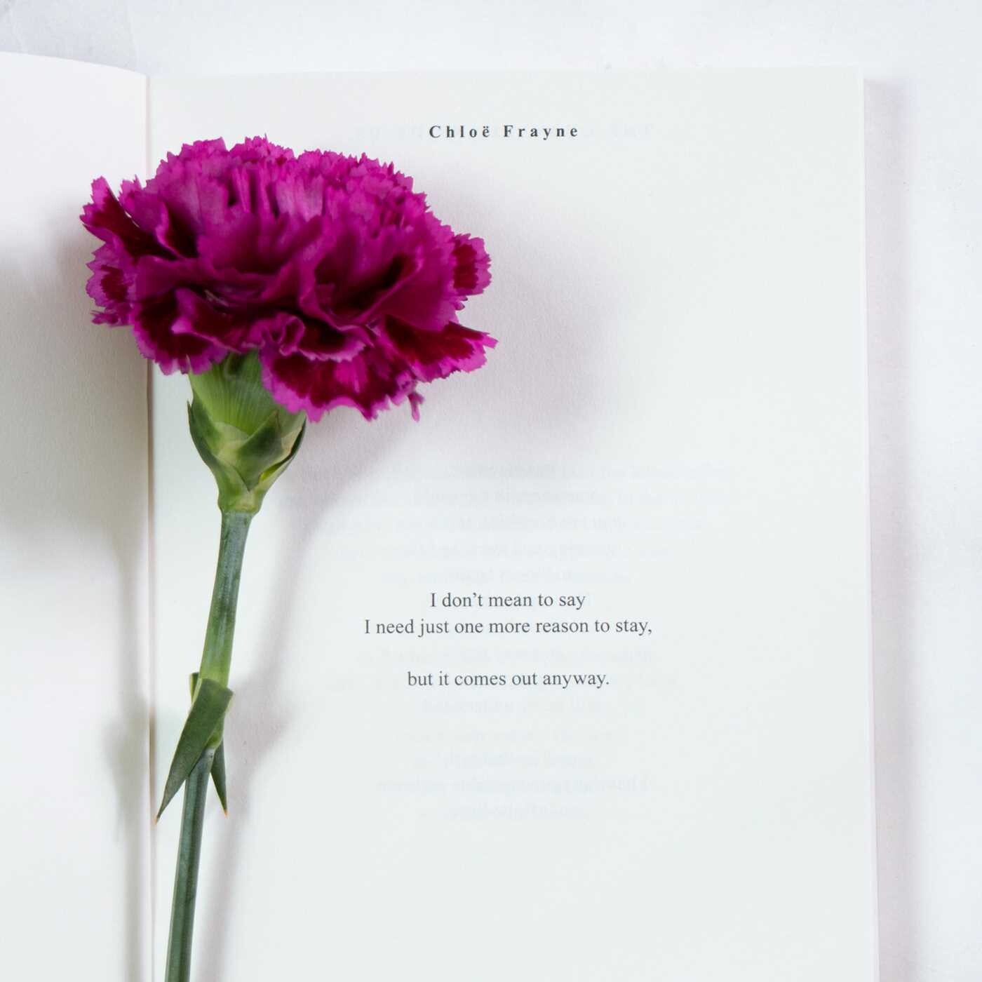 The Gravity Inside Us | Book by Chloë Frayne | Official Publisher Page ...