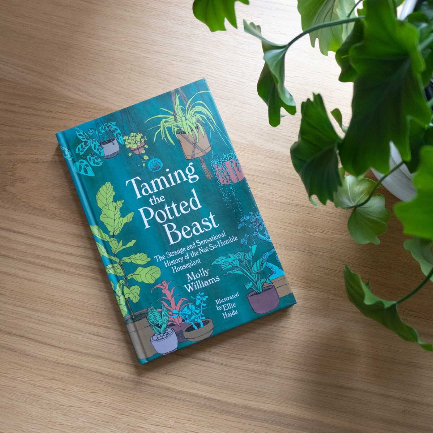 Taming the Potted Beast | Book by Molly Williams | Official Publisher ...