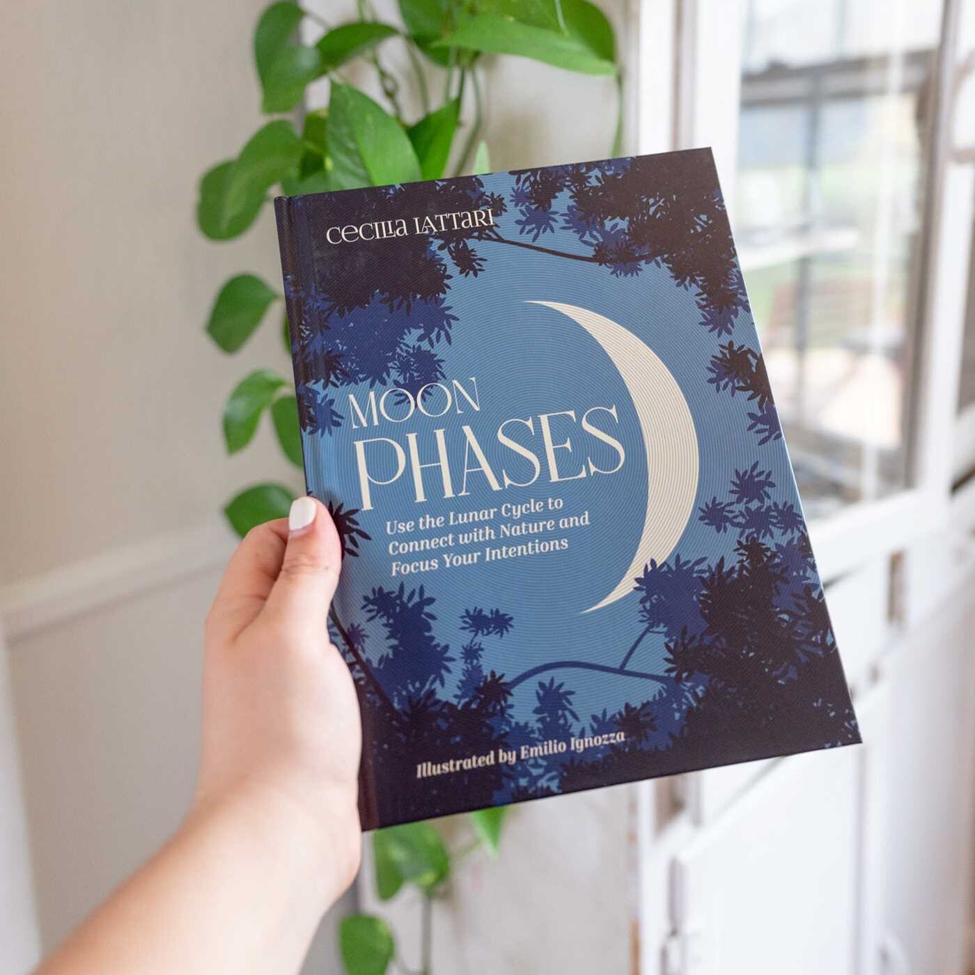 Moon Phases | Book by Cecilia Lattari, Emilio Ignozza | Official ...
