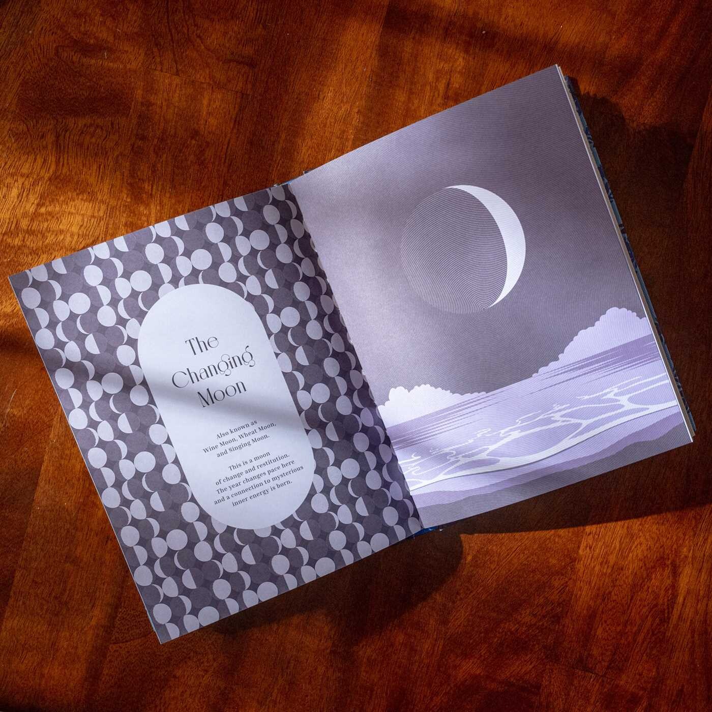 Moon Phases | Book by Cecilia Lattari, Emilio Ignozza | Official ...