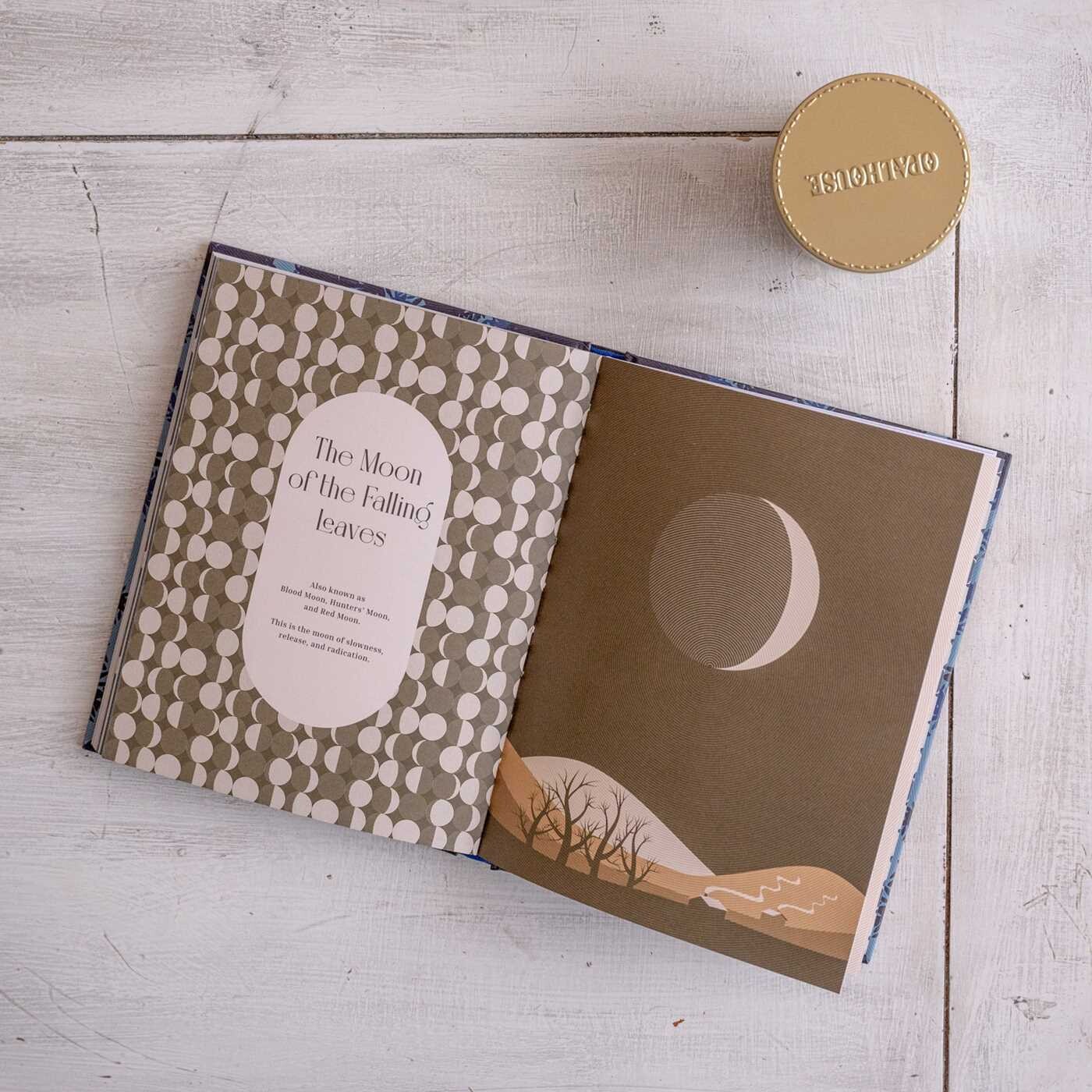 Moon Phases | Book by Cecilia Lattari, Emilio Ignozza | Official ...