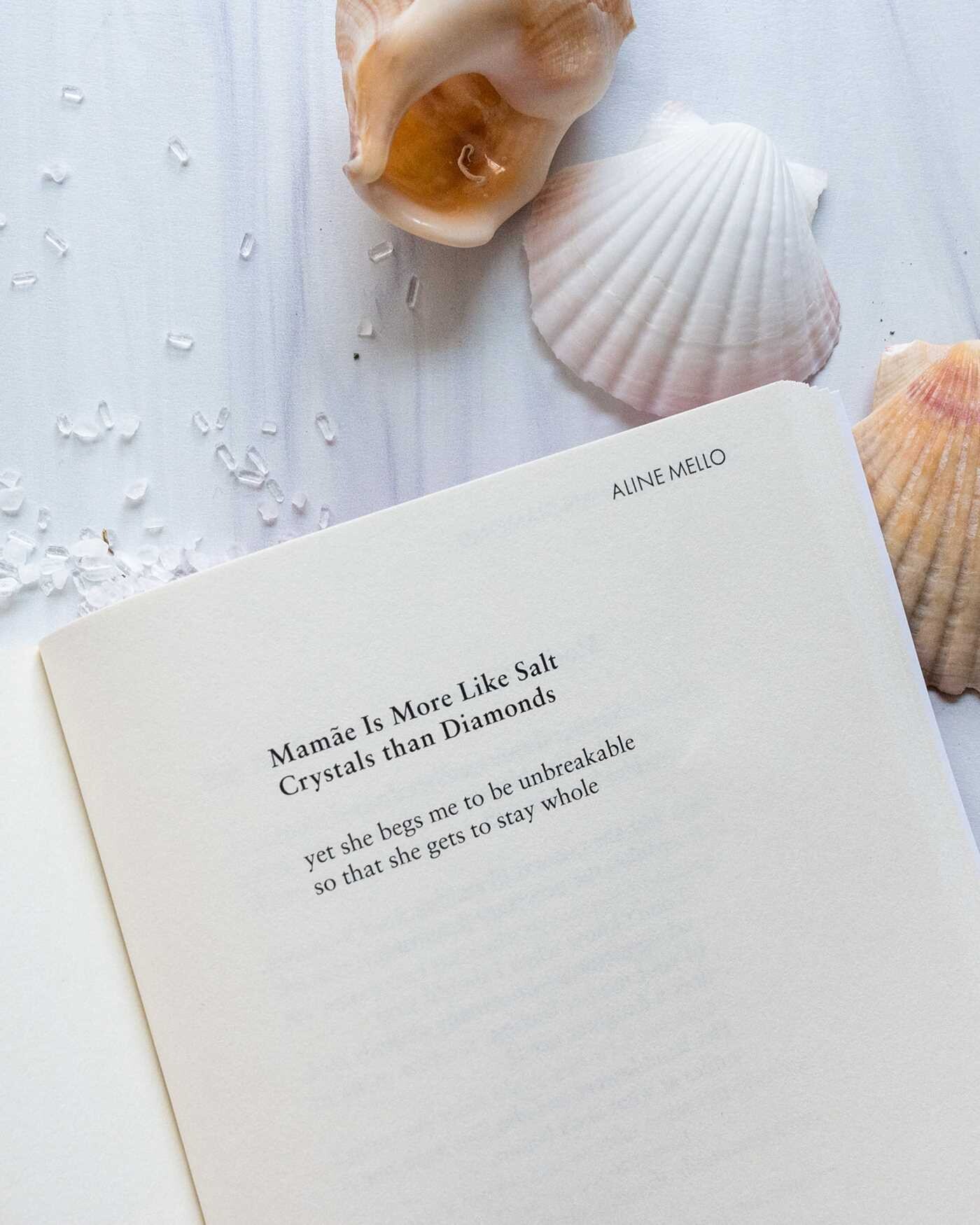 Moon Phases | Book by Cecilia Lattari, Emilio Ignozza | Official ...