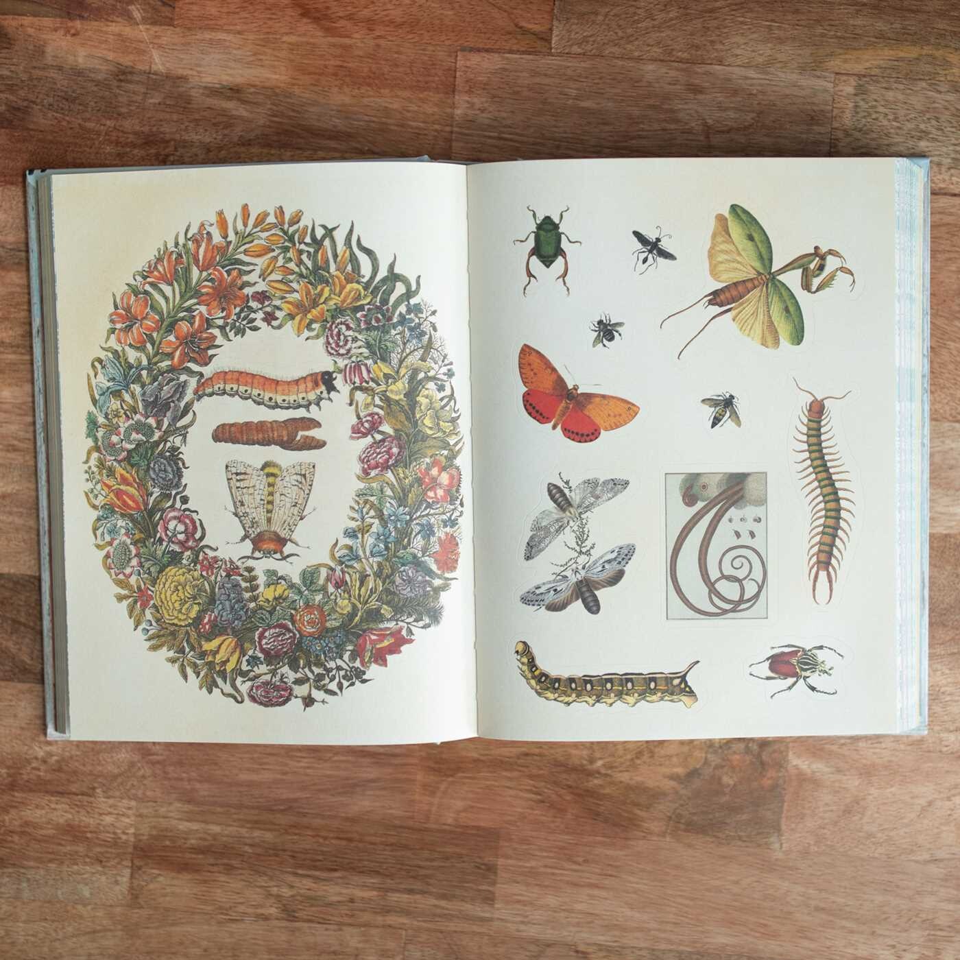 Cabinet of Curiosities | Book by Smithsonian Institution | Official ...