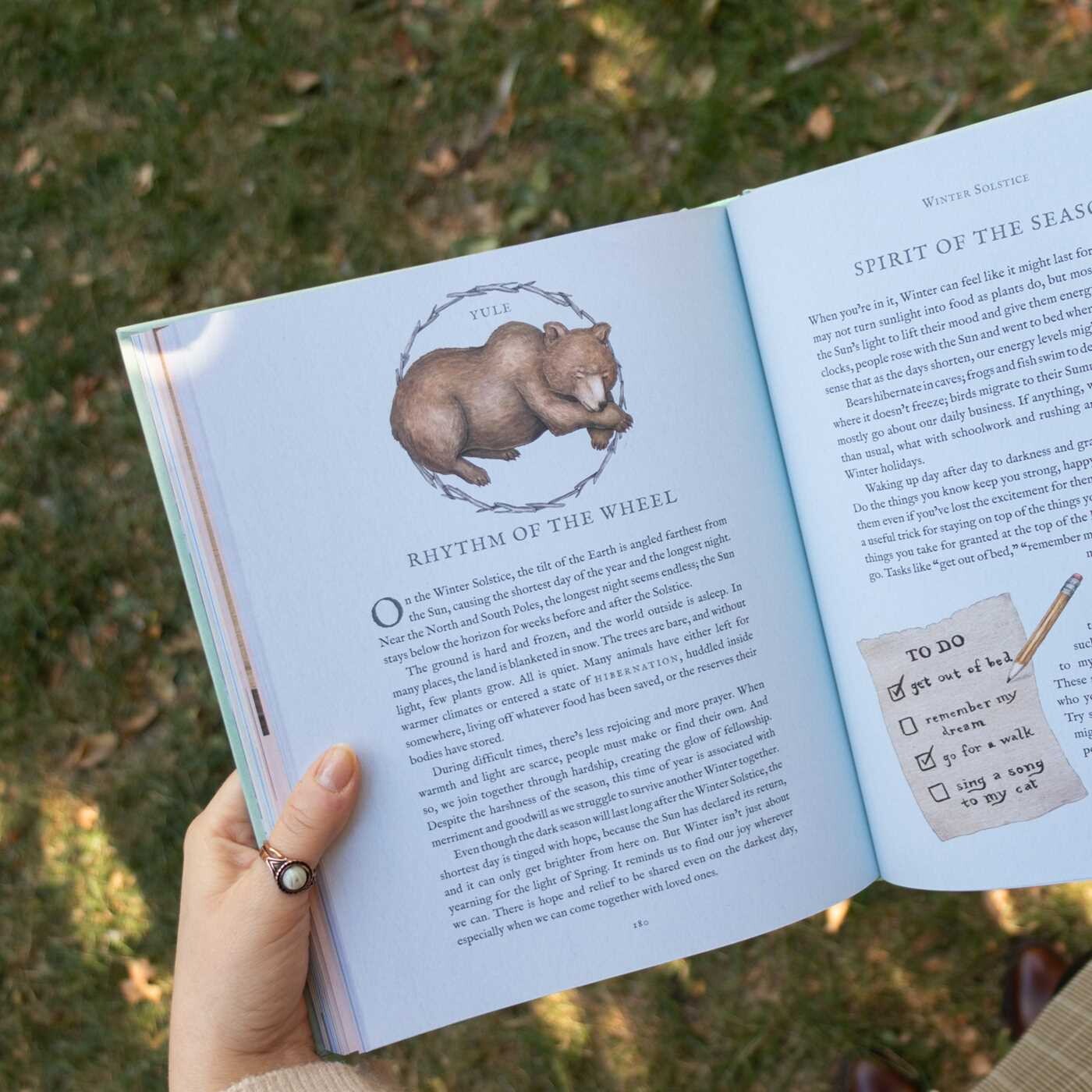 The Wheel of the Year | Book by Fiona Cook, Jessica Roux | Official ...