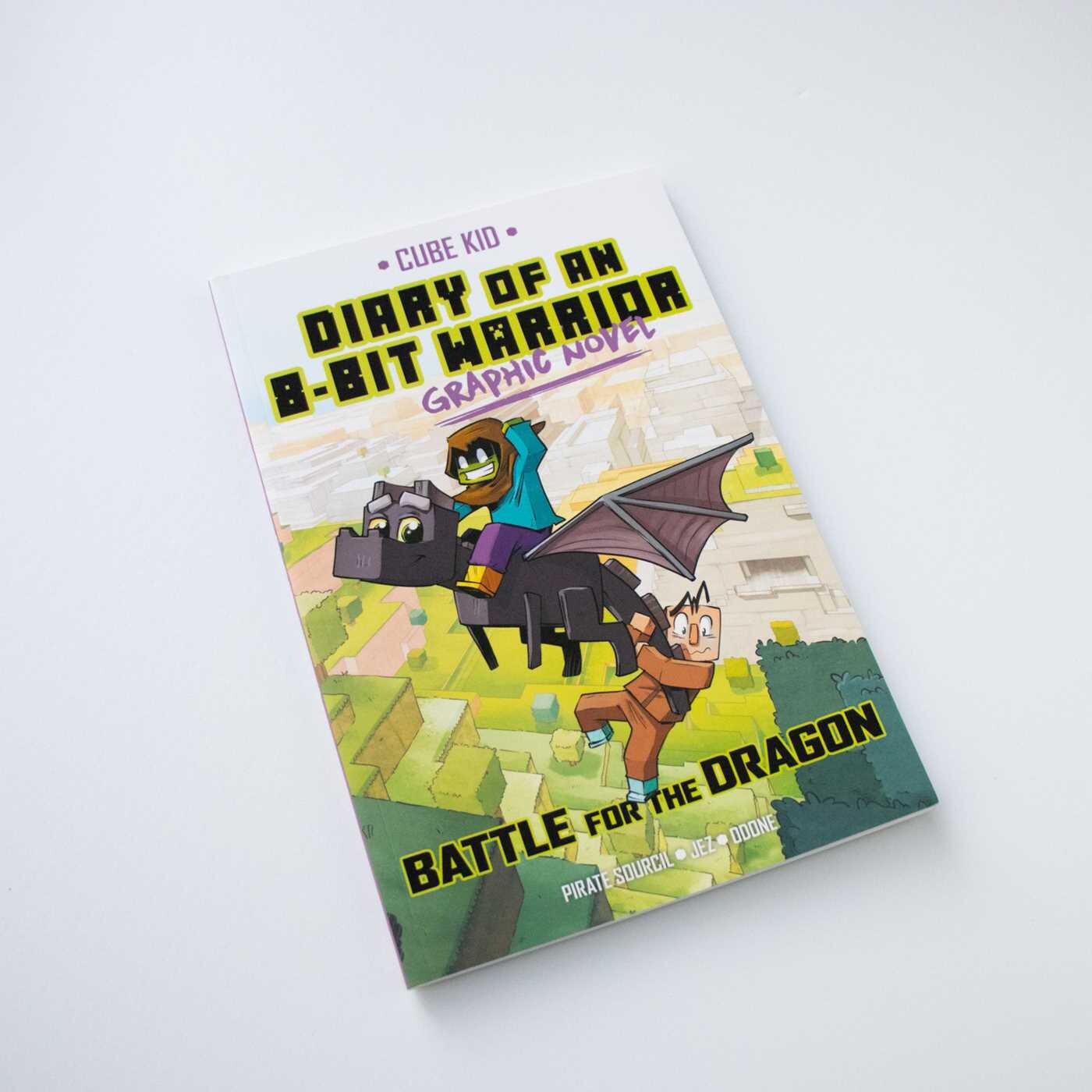 Diary of an 8-Bit Warrior Graphic Novel | Book by Pirate Sourcil, Jez ...