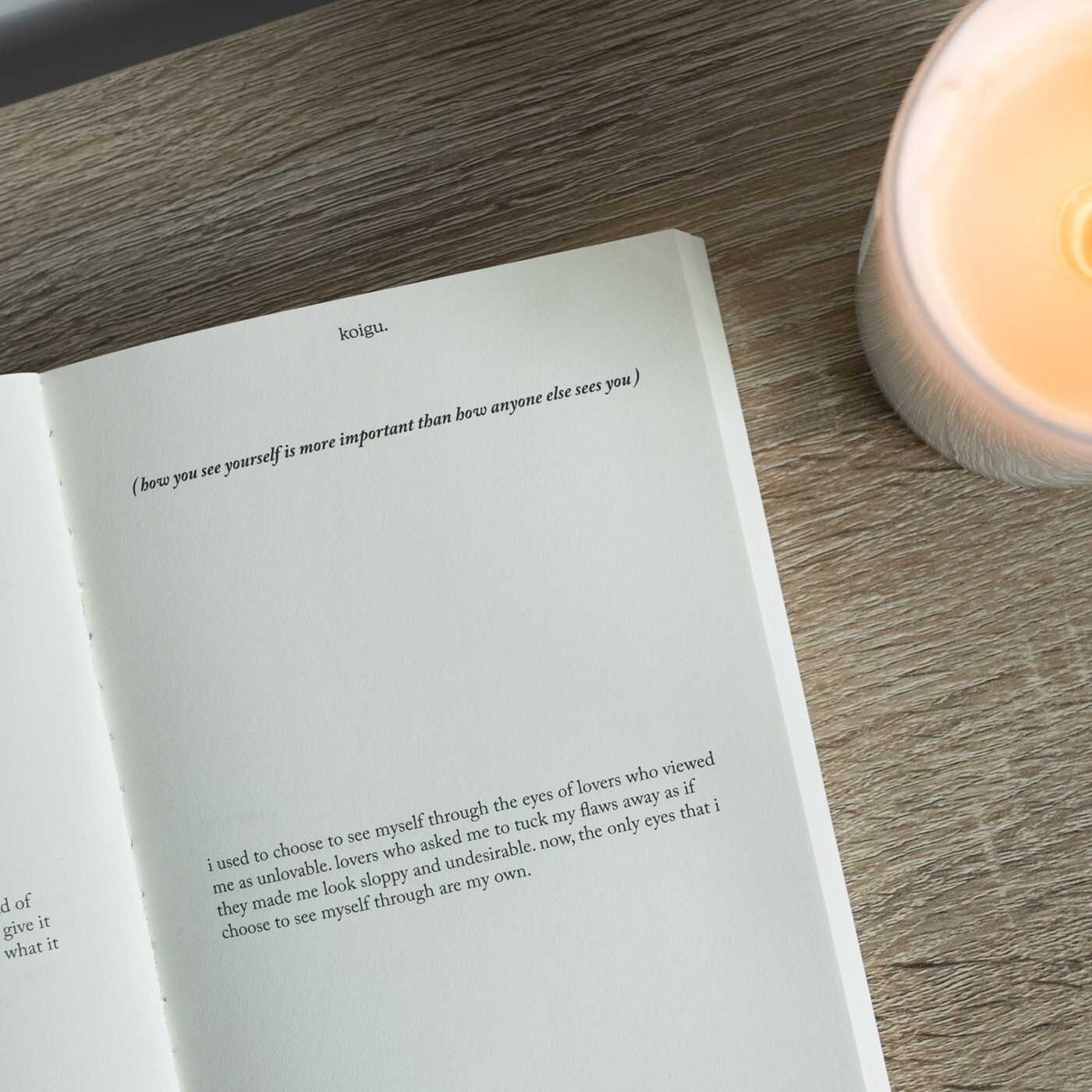 Velvet Dragonflies | Book by Billy Chapata | Official Publisher Page | Simon & Schuster AU