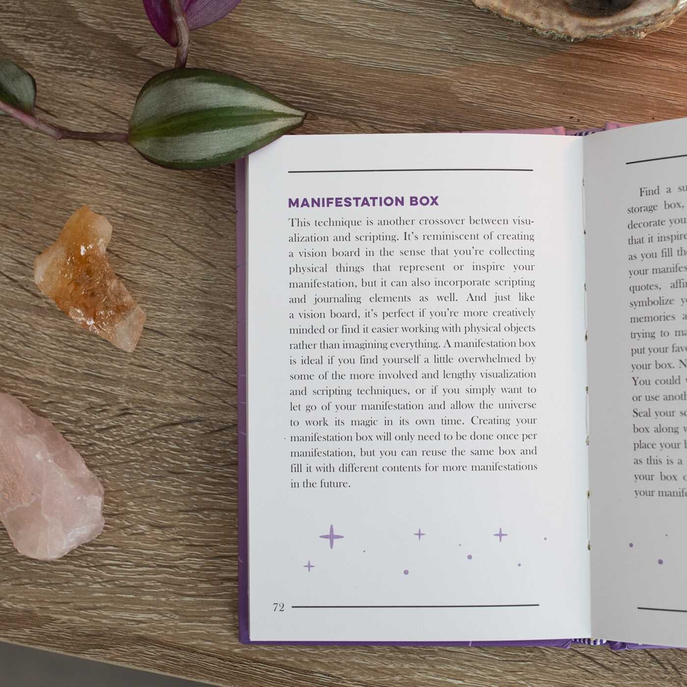The Little Book of Manifestation | Book by Astrid Carvel | Official ...