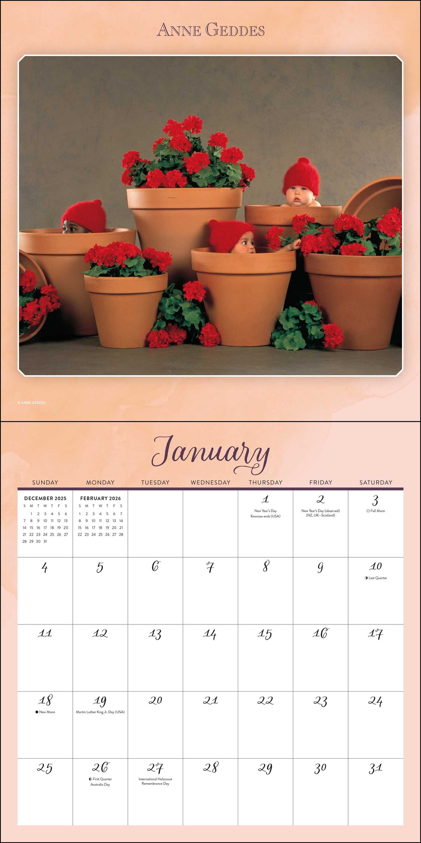 Anne Geddes 2026 Wall Calendar - Book Summary & Video | Official ...