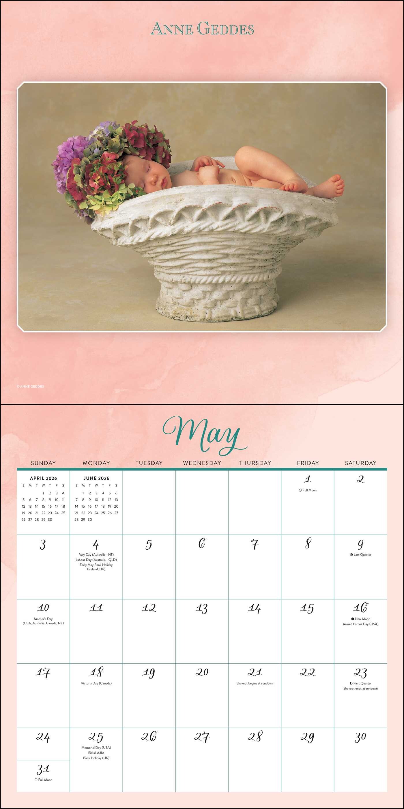 Anne Geddes 2026 Wall Calendar - Book Summary & Video | Official ...