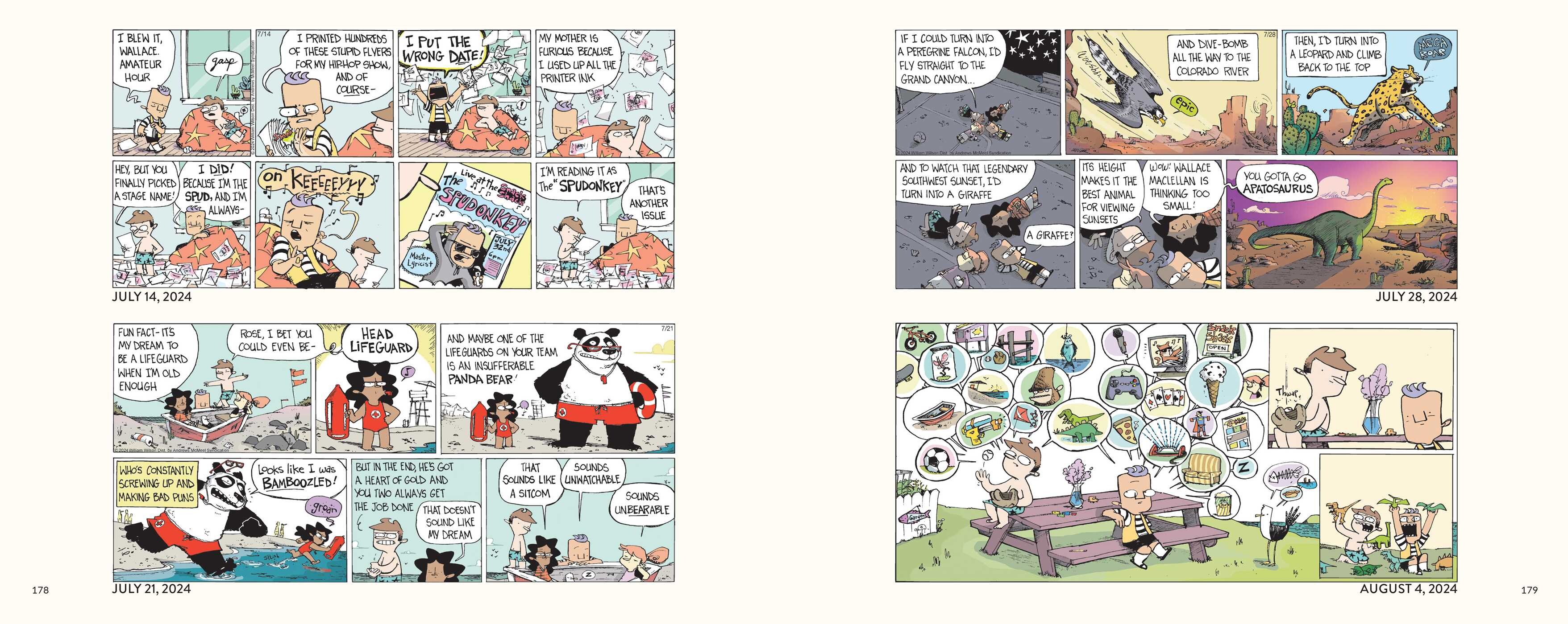 Sunday Funday Wallace | Book by Will Henry | Official Publisher Page ...