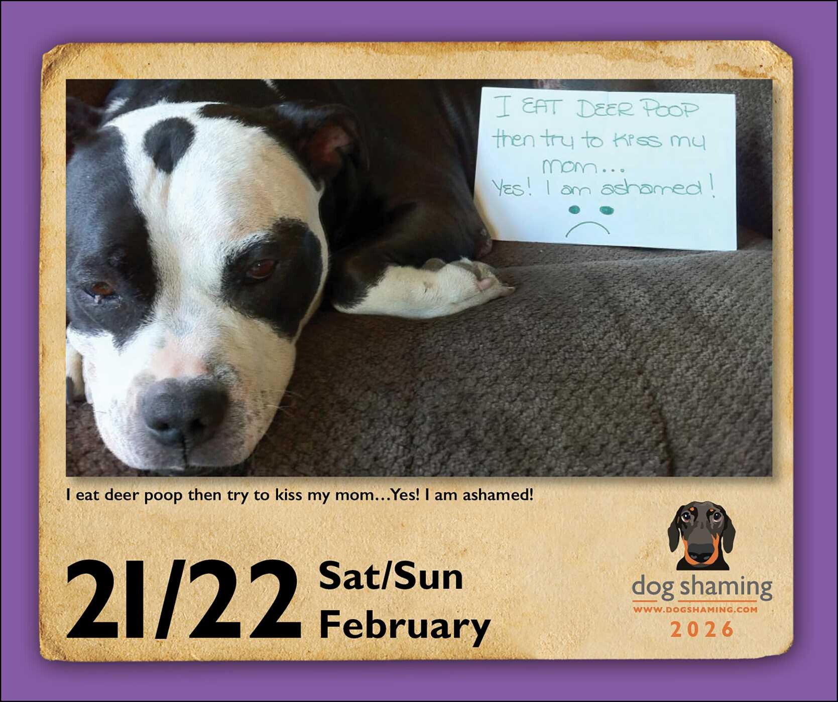 Dog Shaming 2026 Day-to-Day Calendar - Book Summary & Video | Official ...