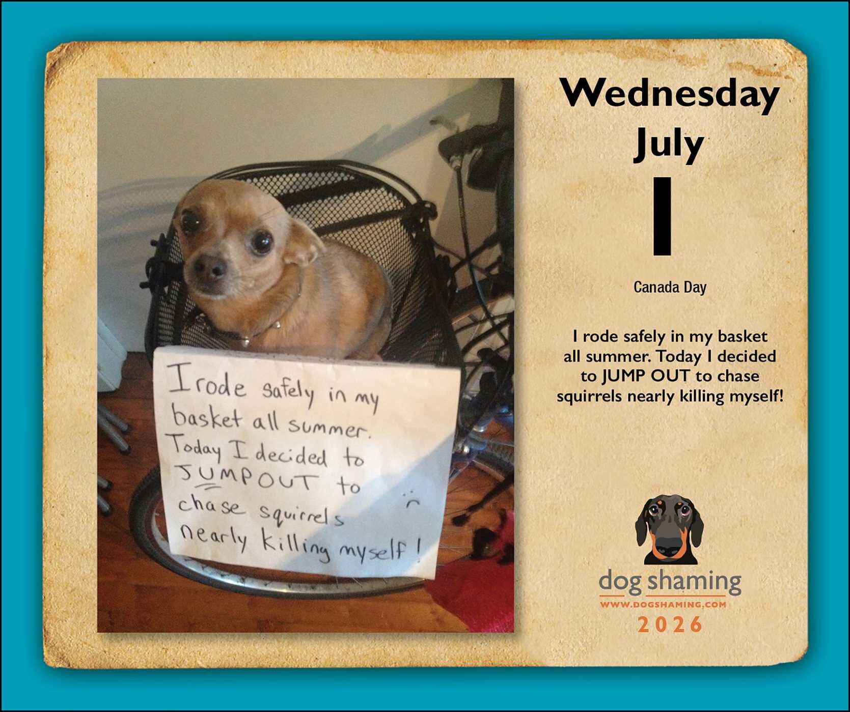Dog Shaming 2026 Day-to-Day Calendar - Book Summary & Video | Official ...