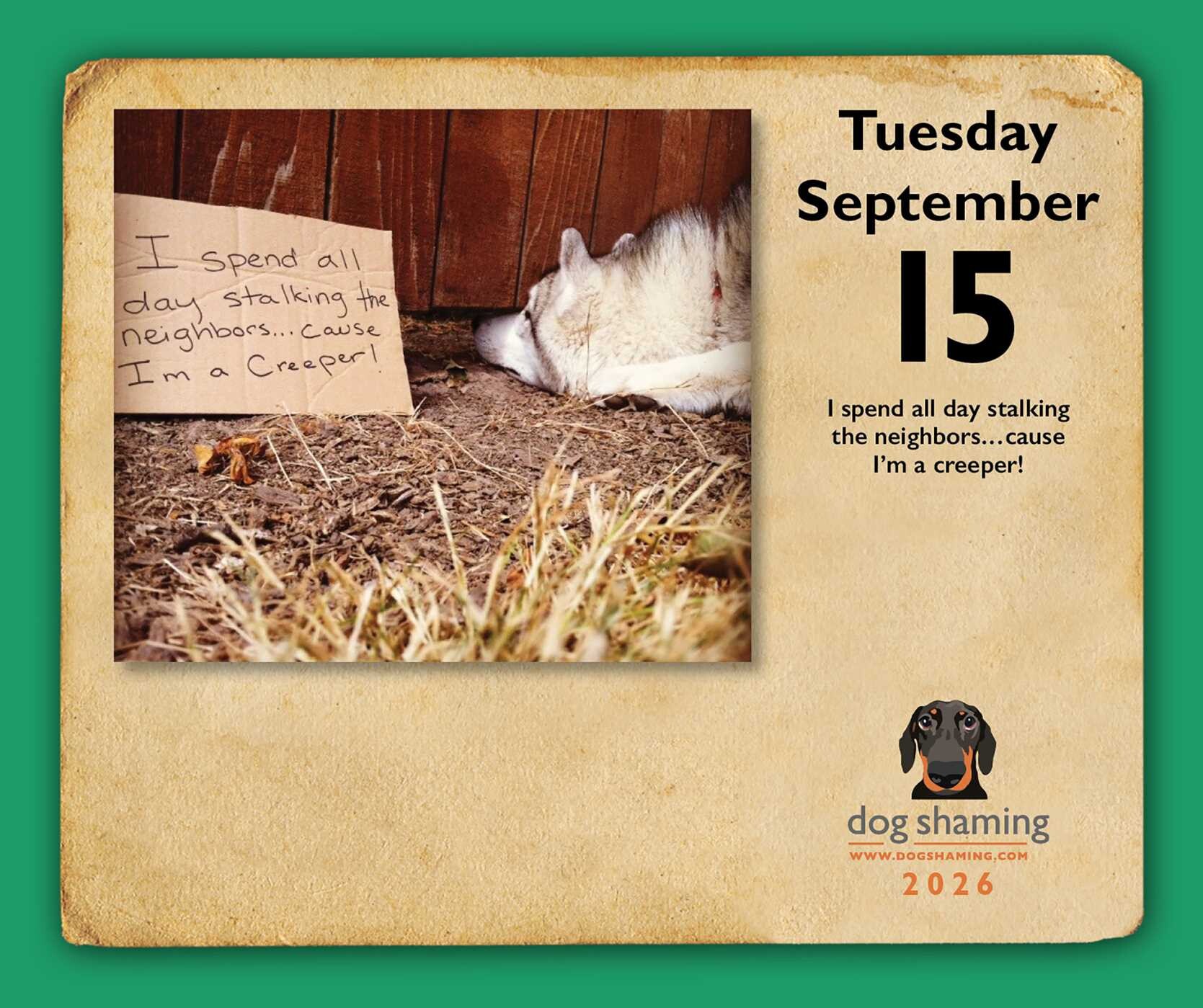 Dog Shaming 2026 Day-to-Day Calendar - Book Summary & Video | Official ...