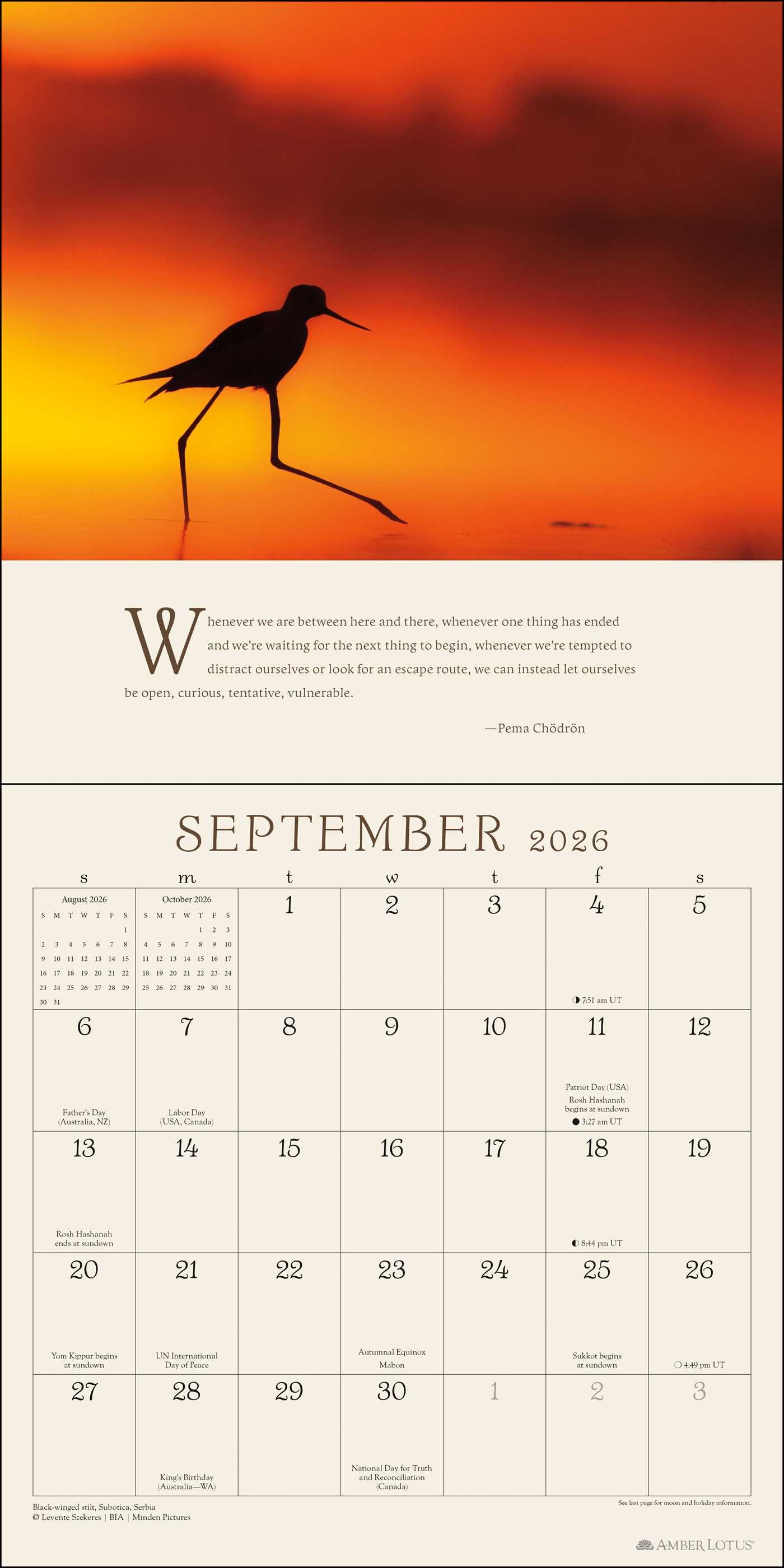 Pema ChÃ¶drÃ¶n 2026 Wall Calendar - Book Summary & Video | Official ...