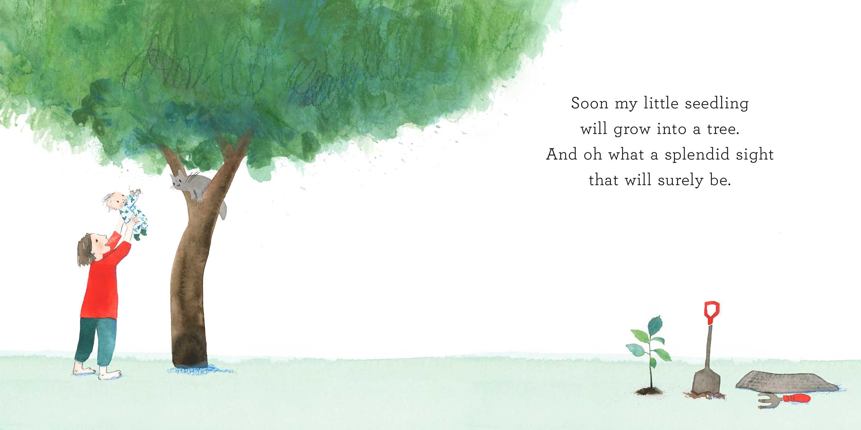 I Have a Little Seedling | Book by Cari Meister, Jenni Desmond ...