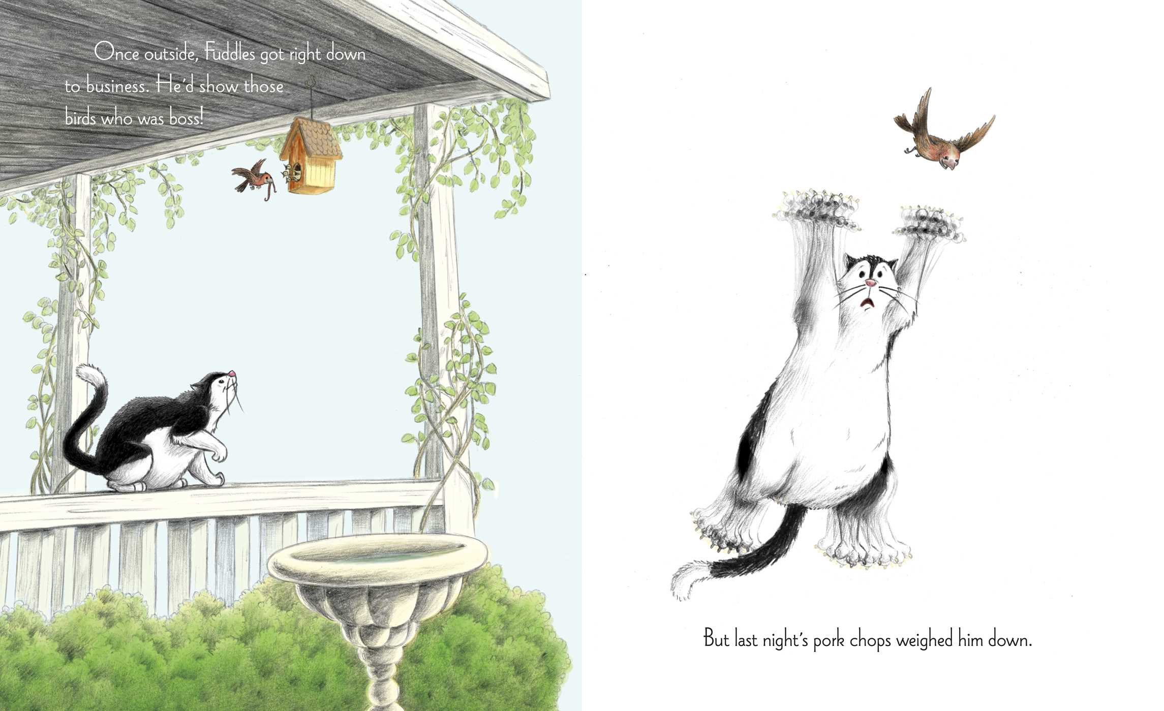 Fuddles | Book by Frans Vischer | Official Publisher Page | Simon ...