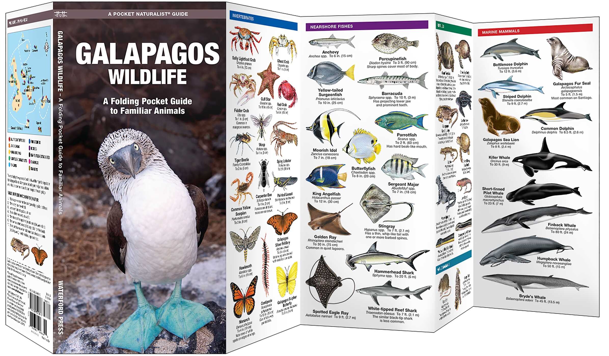 Galapagos Wildlife - Book Summary & Video | Official Publisher Page ...
