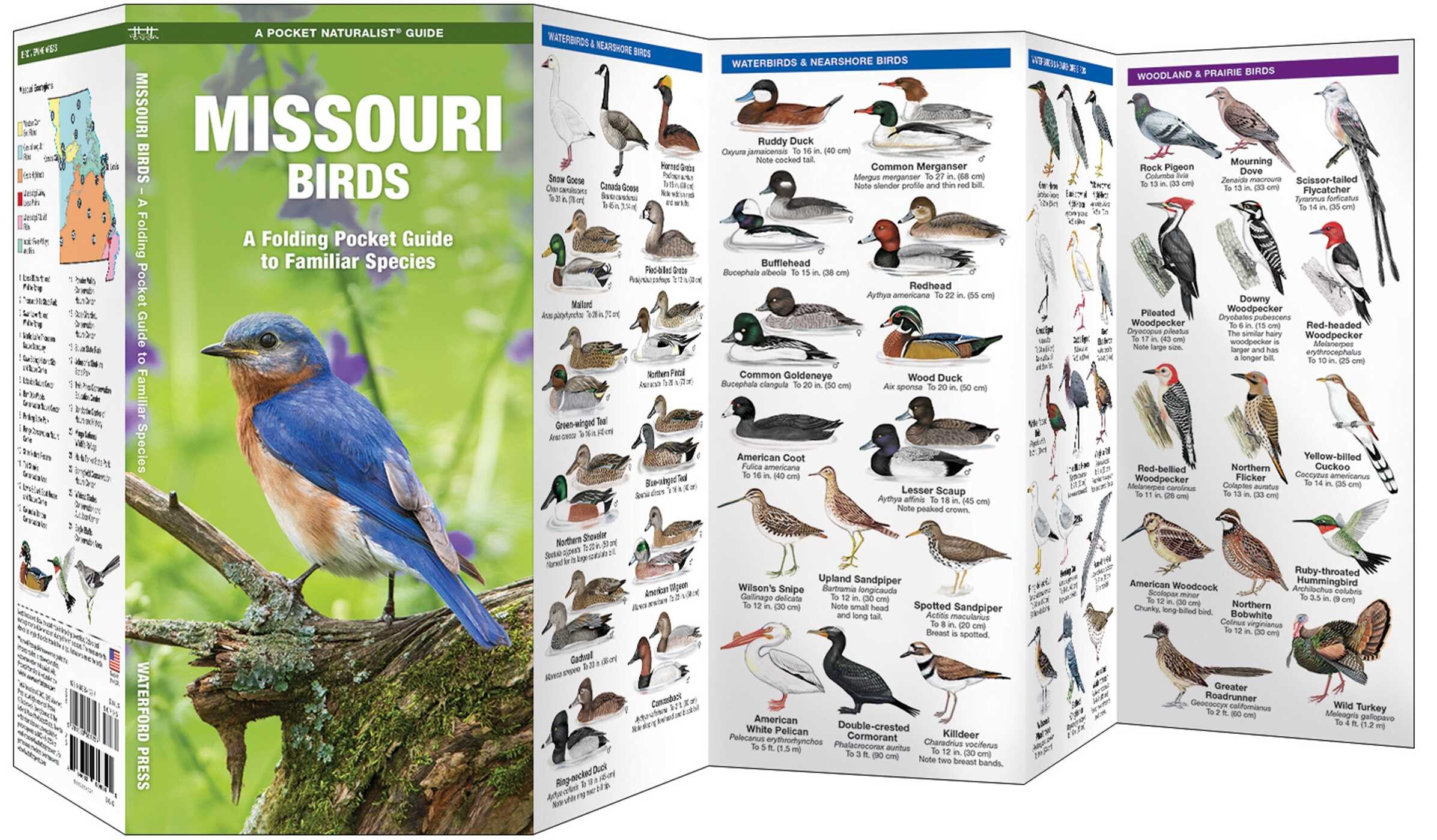 Missouri Birds - Book Summary & Video | Official Publisher Page | Simon ...
