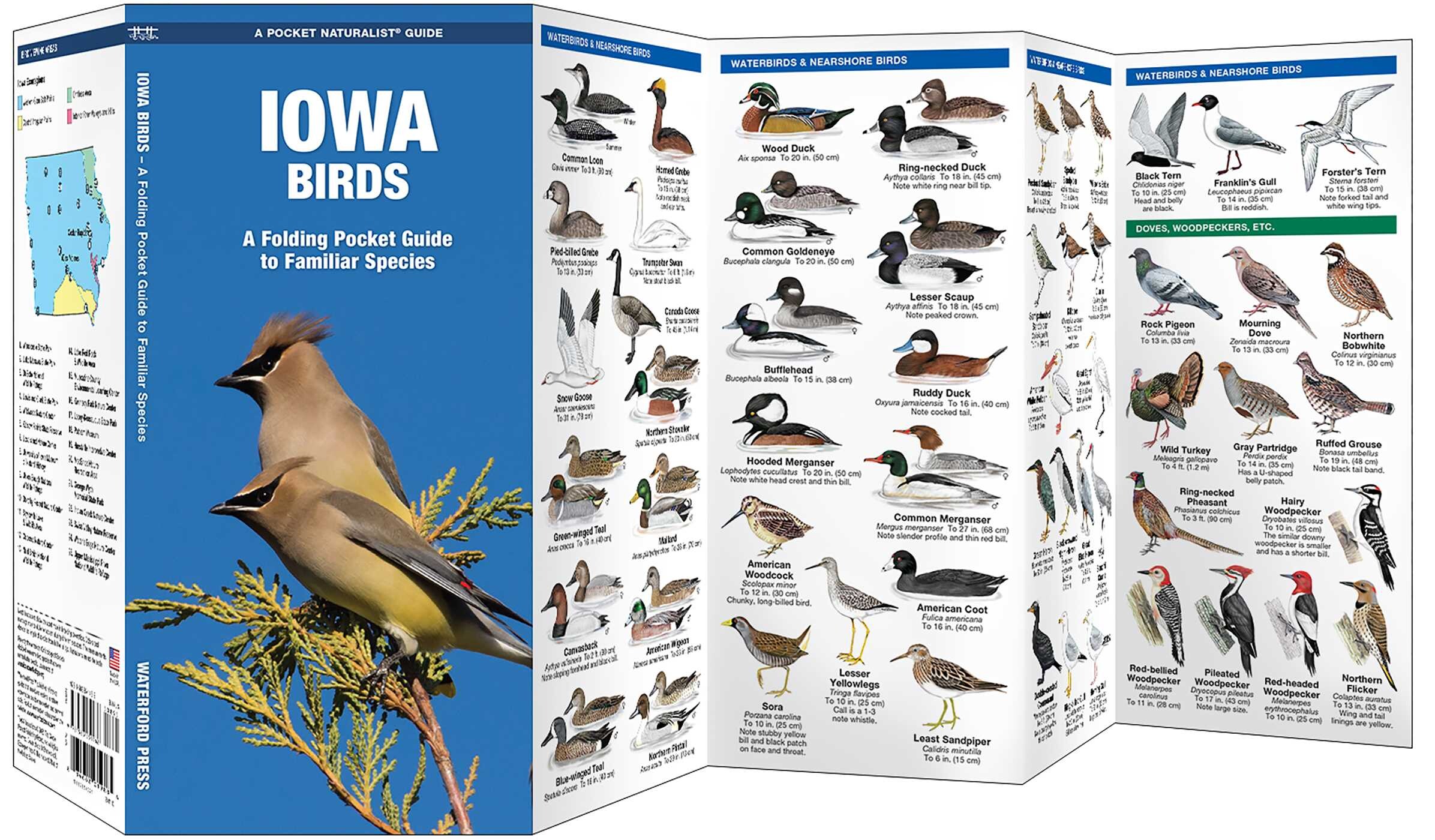 Iowa Birds - Book Summary & Video | Official Publisher Page | Simon ...
