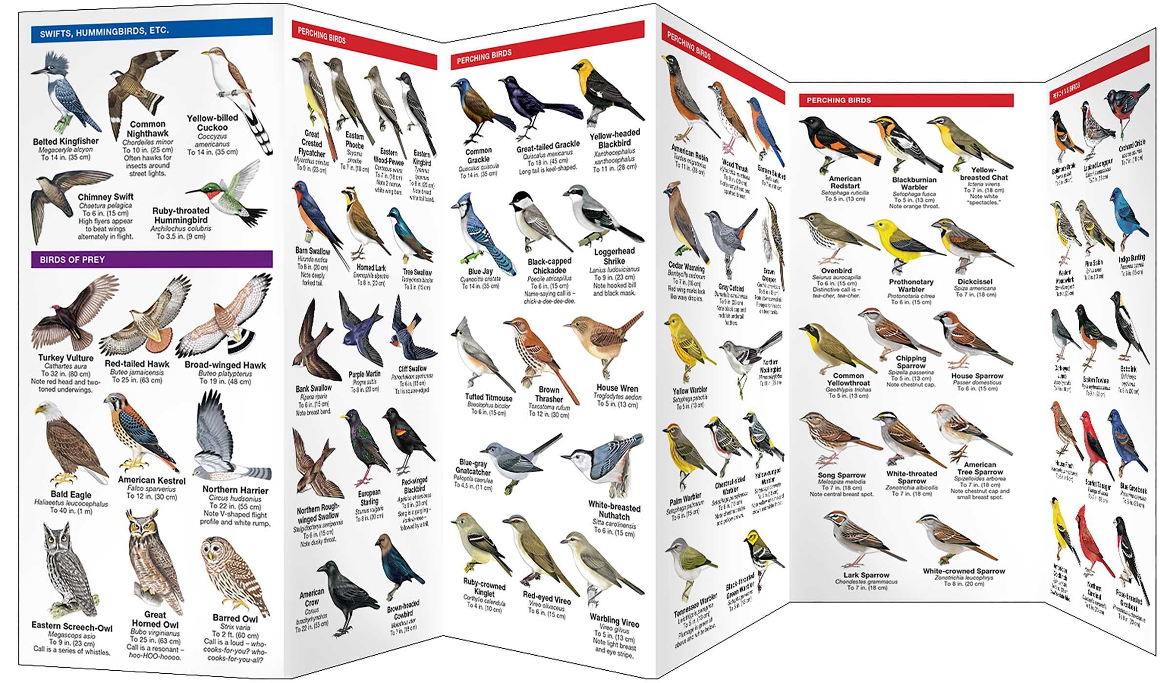 Iowa Birds - Book Summary & Video | Official Publisher Page | Simon ...