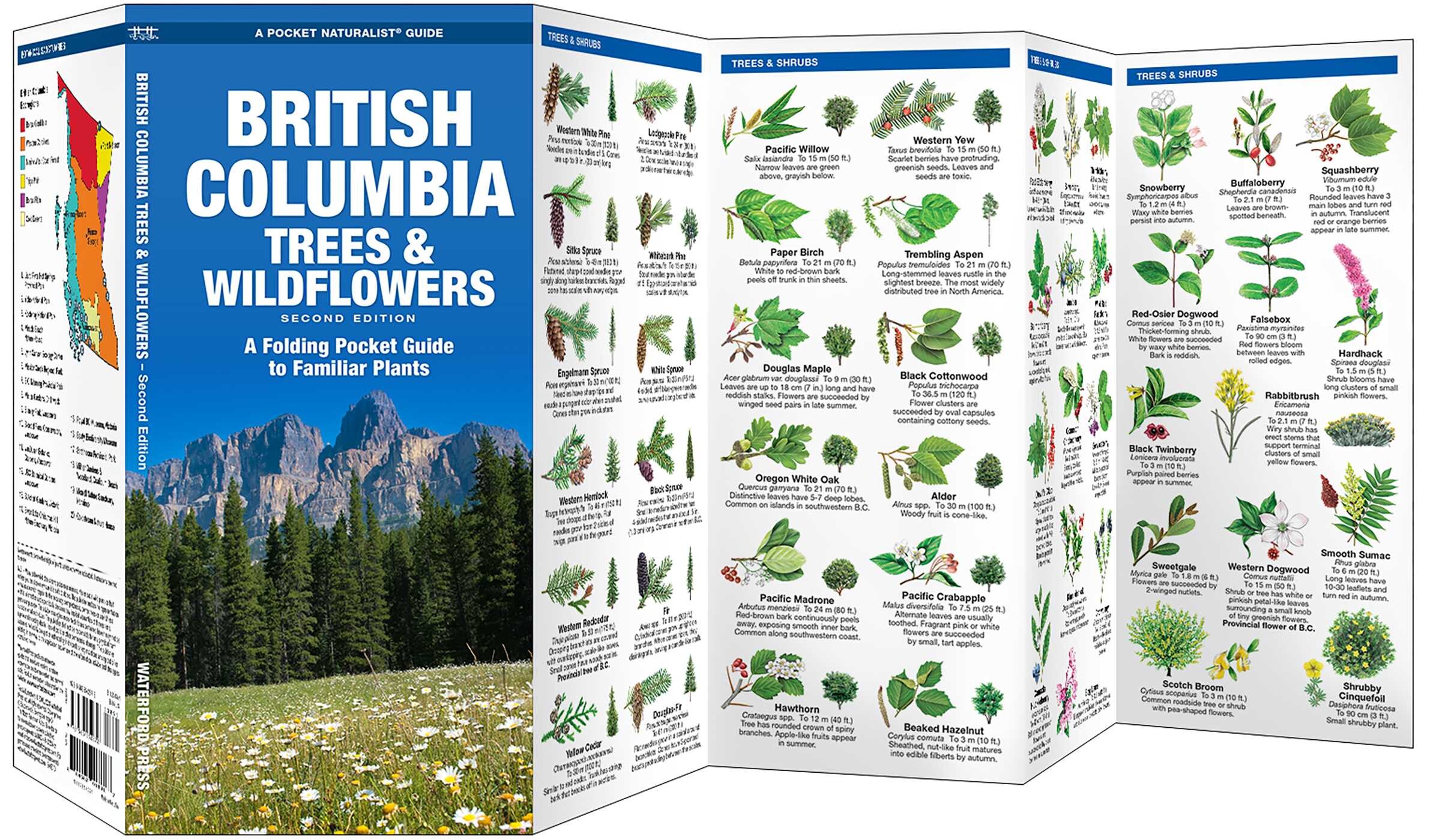 British Columbia Trees & Wildflowers, 2nd Ed - Book Summary & Video ...