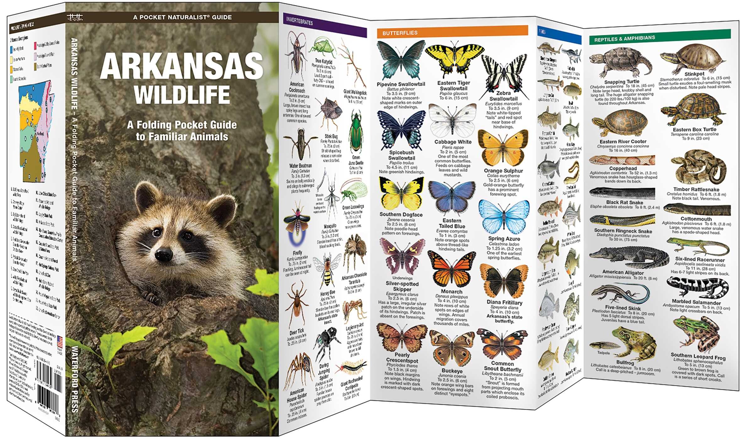 Arkansas Wildlife - Book Summary & Video | Official Publisher Page ...