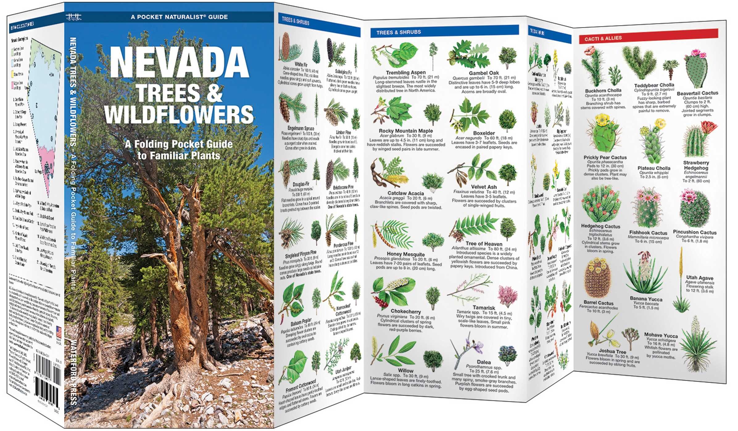 Nevada Trees & Wildflowers - Book Summary & Video | Official Publisher ...
