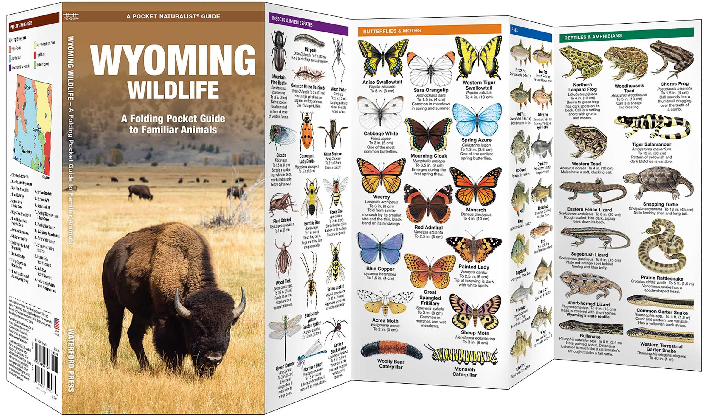 Wyoming Wildlife - Book Summary & Video | Official Publisher Page ...