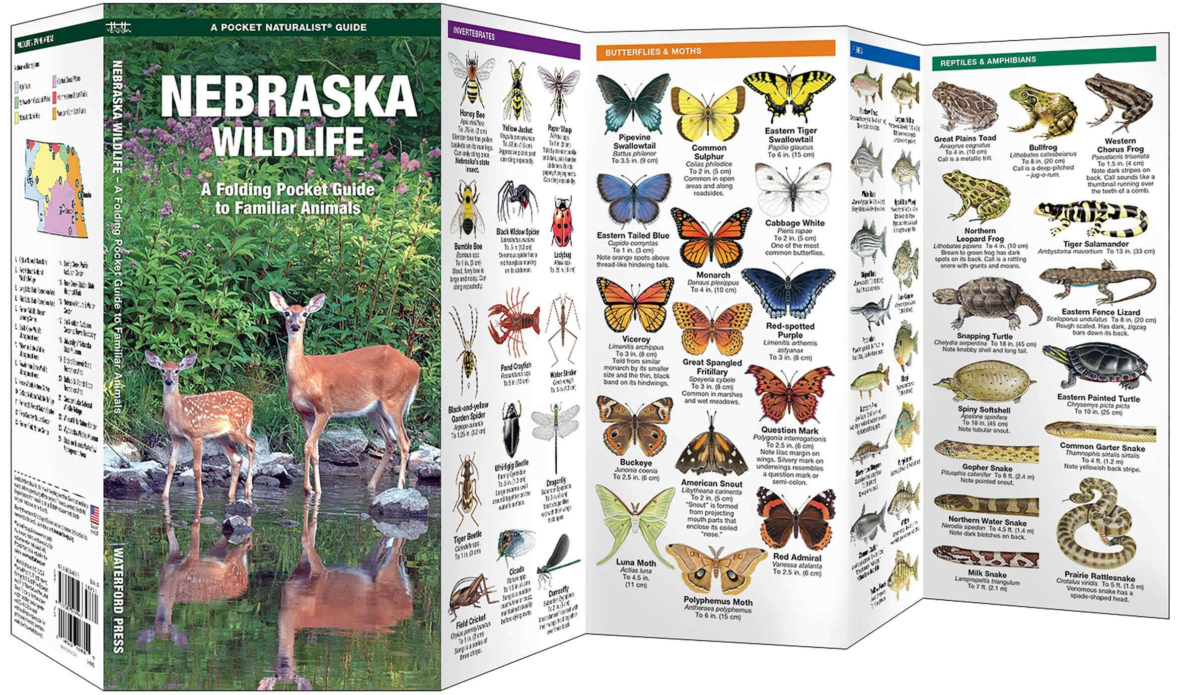 Nebraska Wildlife - Book Summary & Video | Official Publisher Page ...