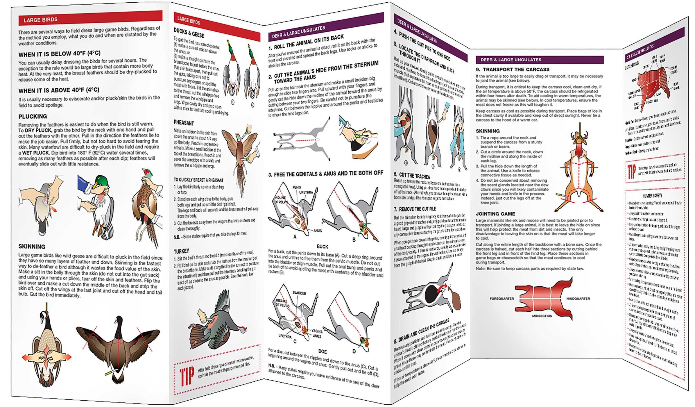 Field Dressing Game - Book Summary & Video | Official Publisher Page ...