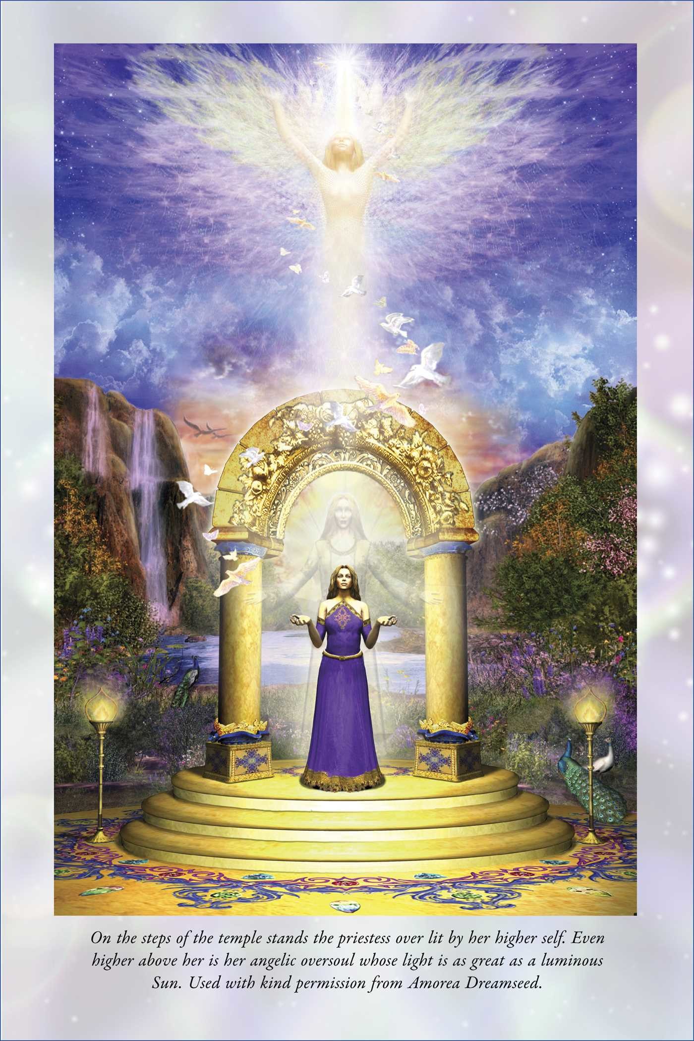 The Angelic Origins of the Soul | Book by Tricia McCannon | Official ...