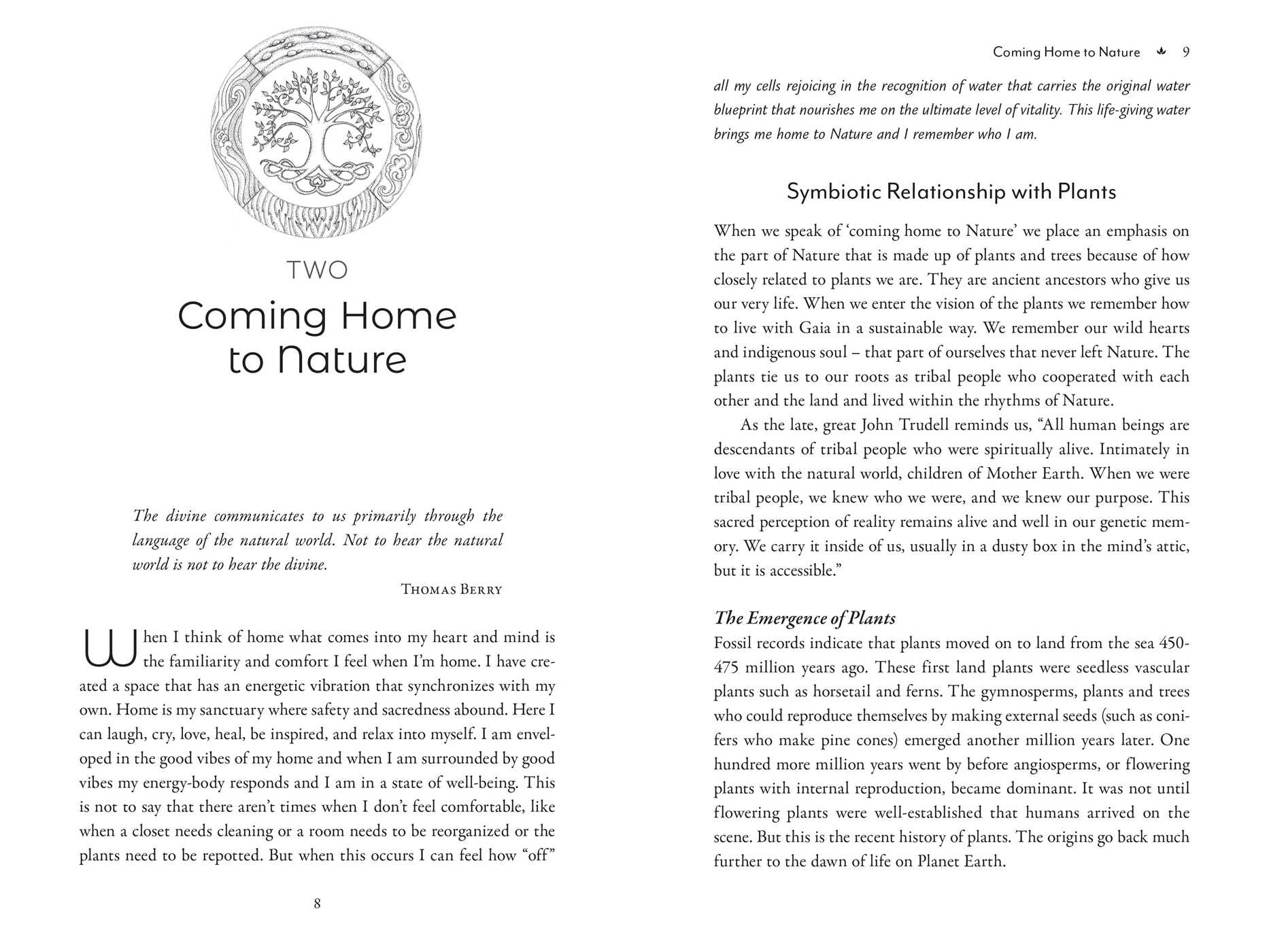 Co-Creating with Nature | Book by Pam Montgomery, Myra Jackson ...