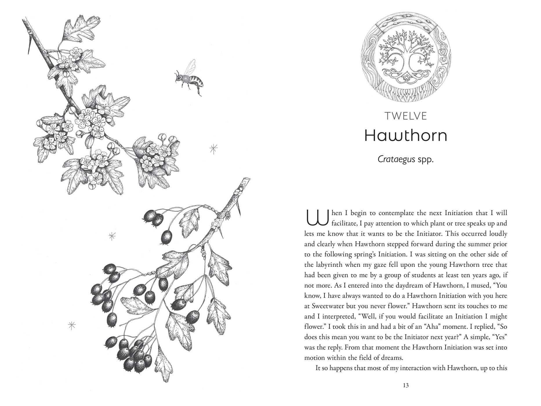 Co-Creating with Nature | Book by Pam Montgomery, Myra Jackson ...