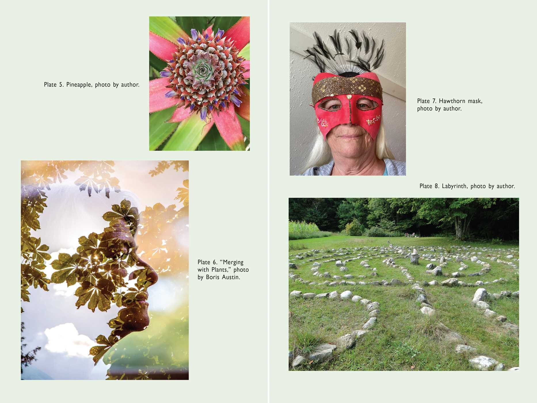 Co-Creating with Nature eBook by Pam Montgomery, Myra Jackson ...