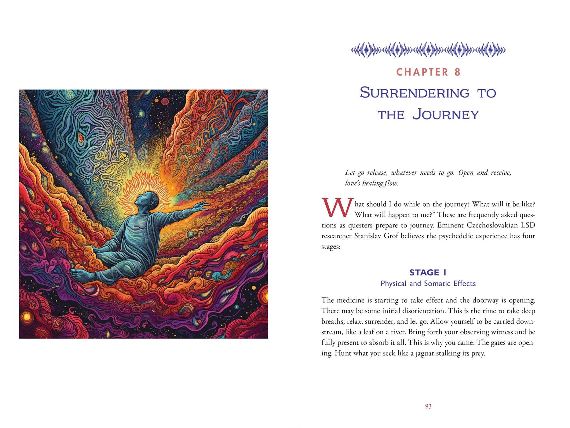 The Psychedelic Shaman | Book by Tom Soloway Pinkson, Rabbi Michael ...