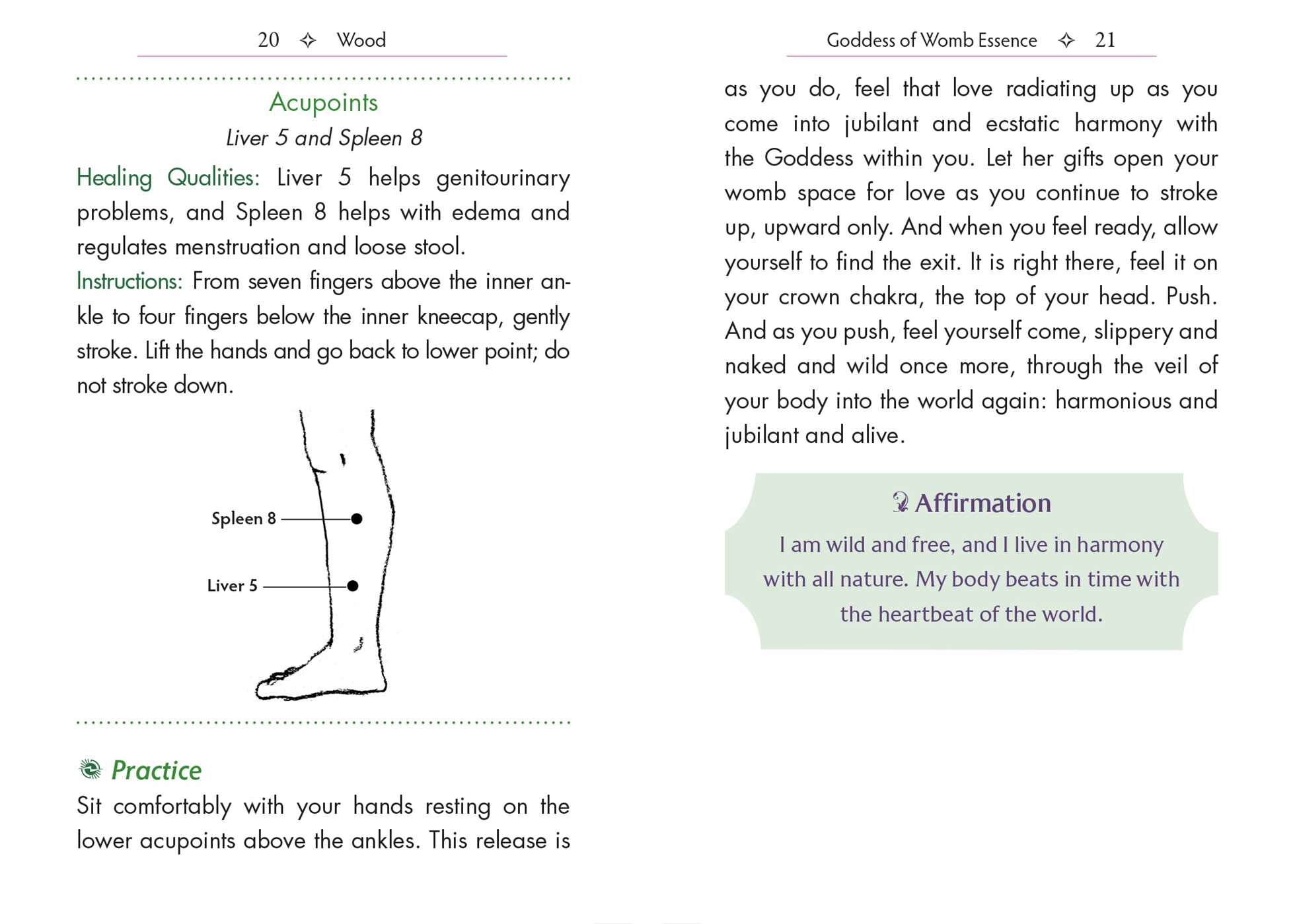Elemental Goddess Oracle - Book Summary & Video | Official Publisher ...