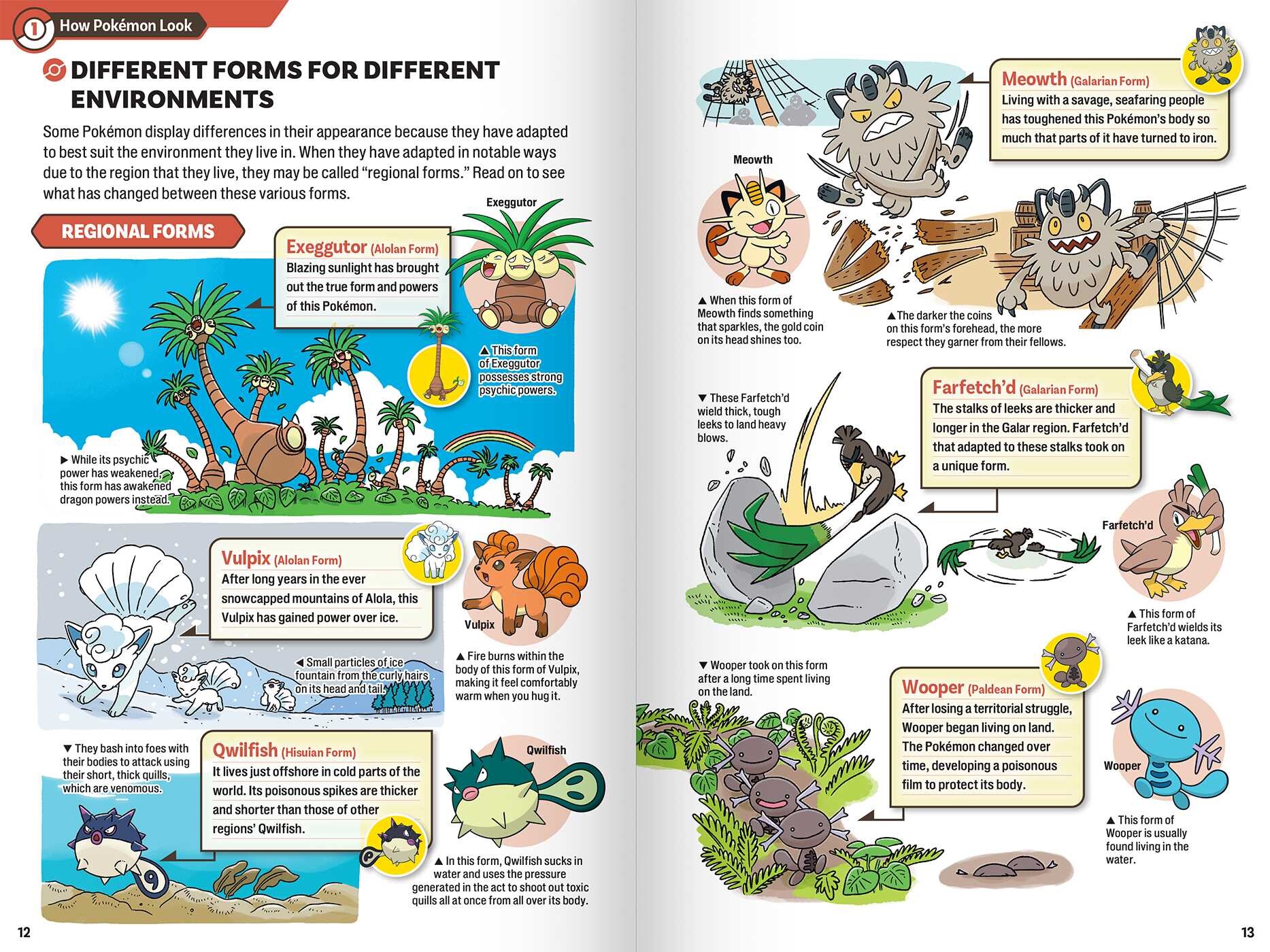 Pokécology An Illustrated Guide to Pokémon Ecology | Book by Pikachu ...