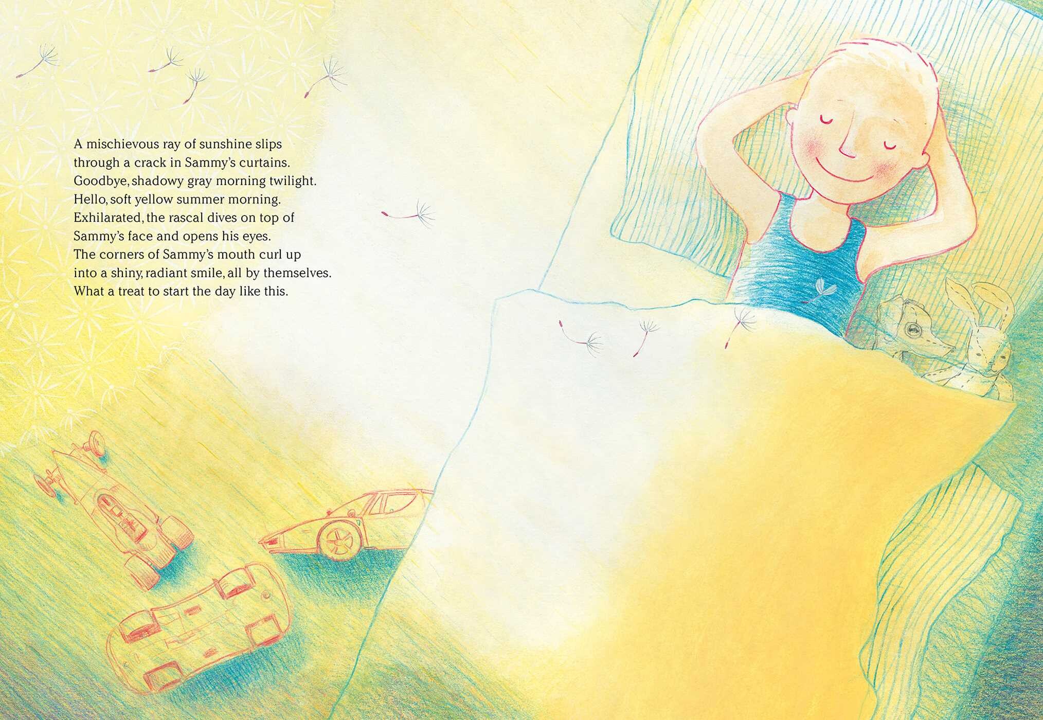 A Compliment with Wings | Book by Pimm van Hest, Nynke Mare Talsma ...