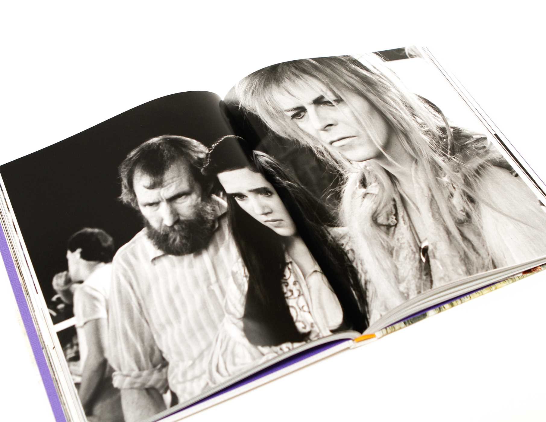 Labyrinth | Book by Paula M Block, Terry J Erdmann, Toby Froud, Brian ...