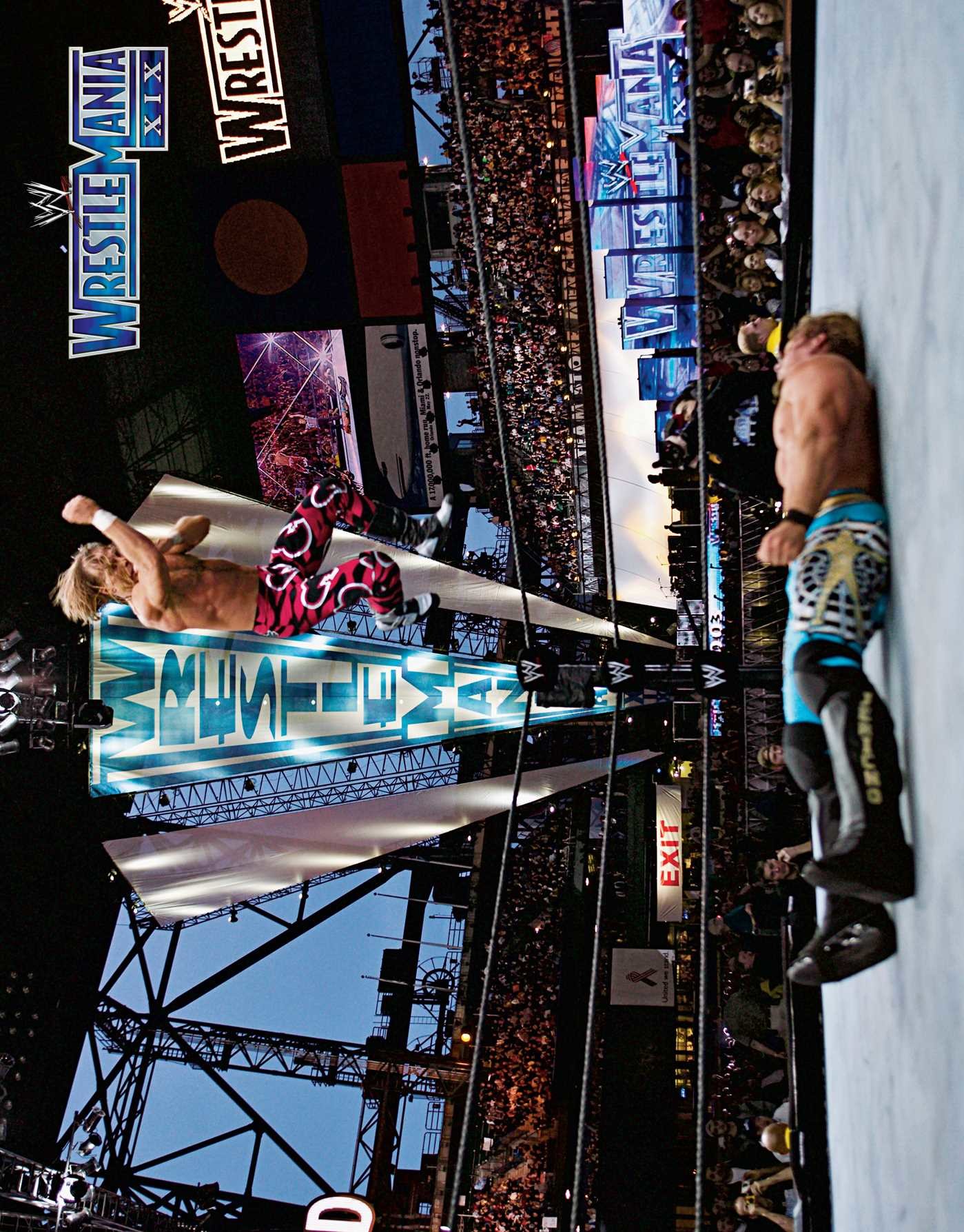 WWE: WrestleMania: The Official Poster Collection | Book by WWE ...