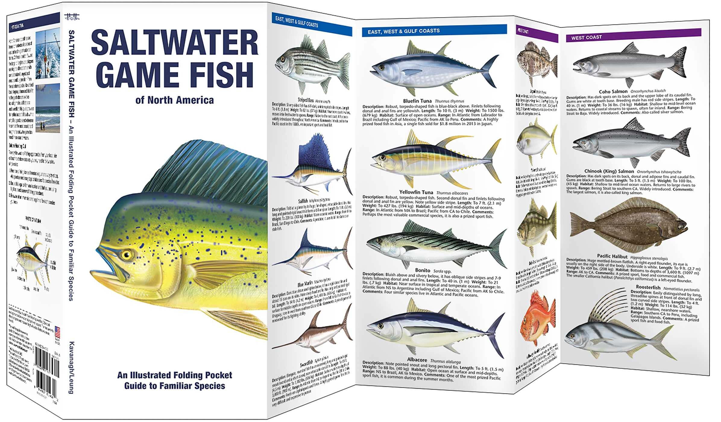 Saltwater Game Fish of North America, 2nd Ed - Book Summary & Video ...