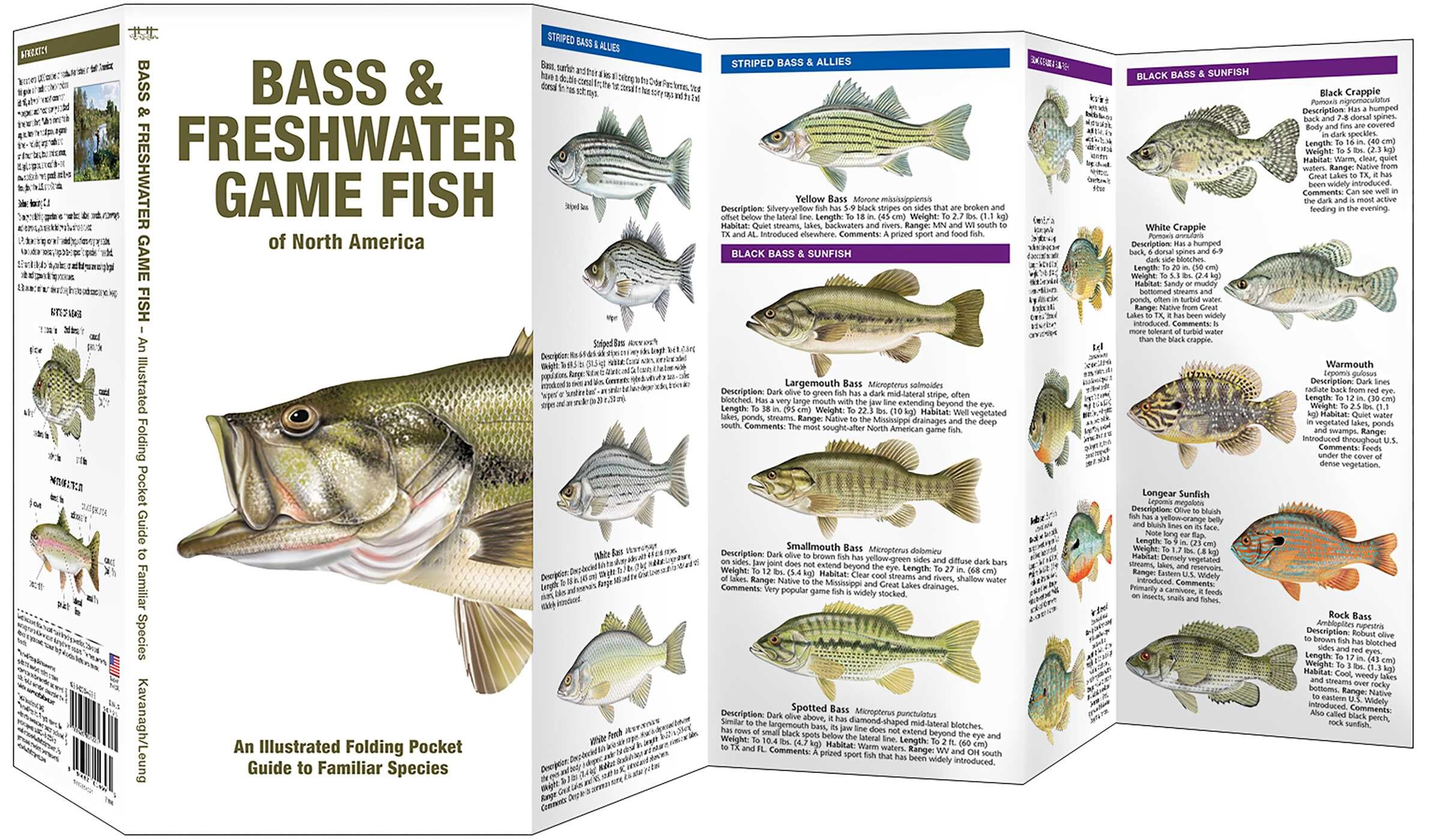 Bass & Freshwater Game Fish of North America, 2nd Ed - Book Summary ...