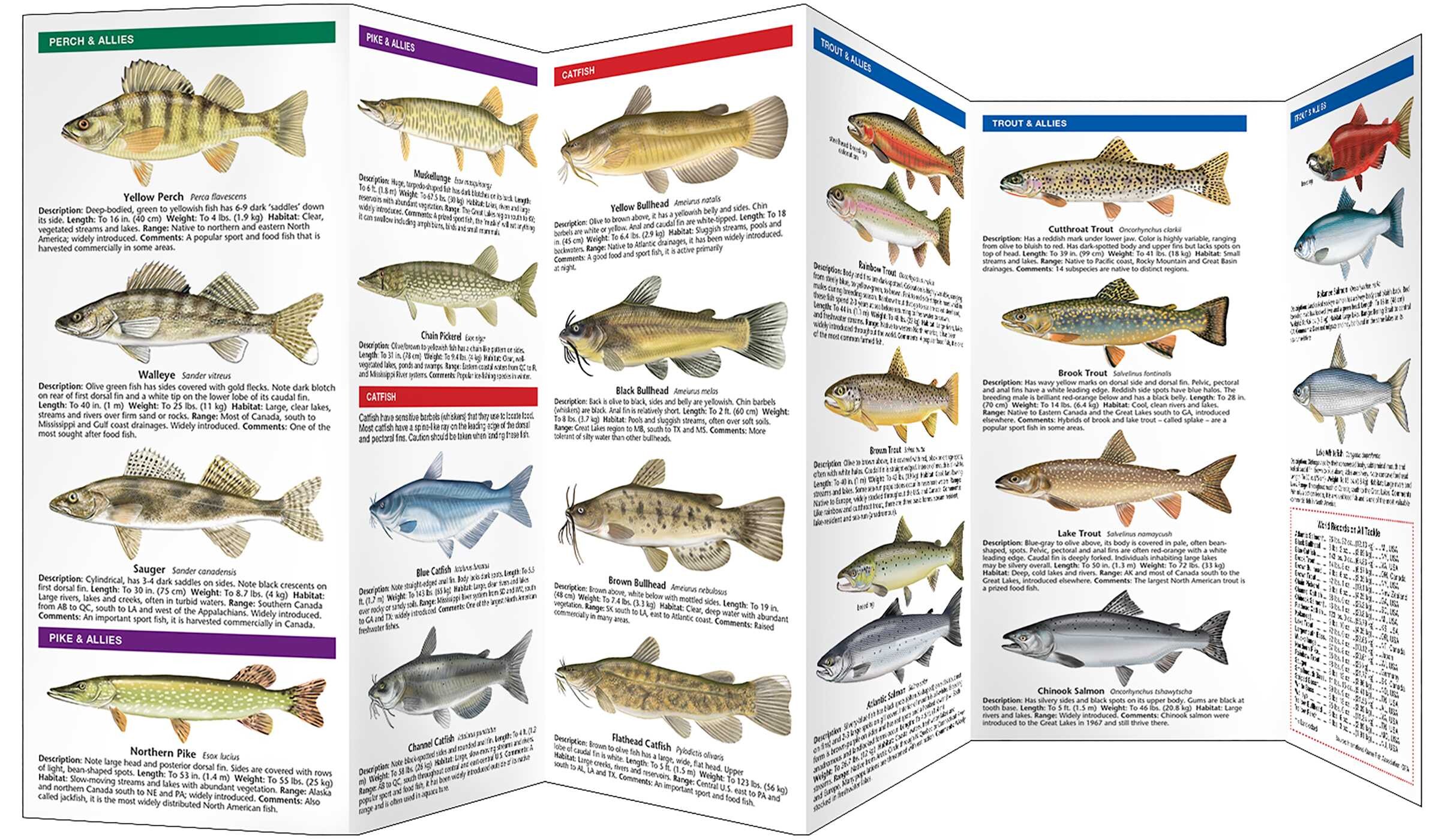 Bass & Freshwater Game Fish of North America, 2nd Ed - Book Summary ...