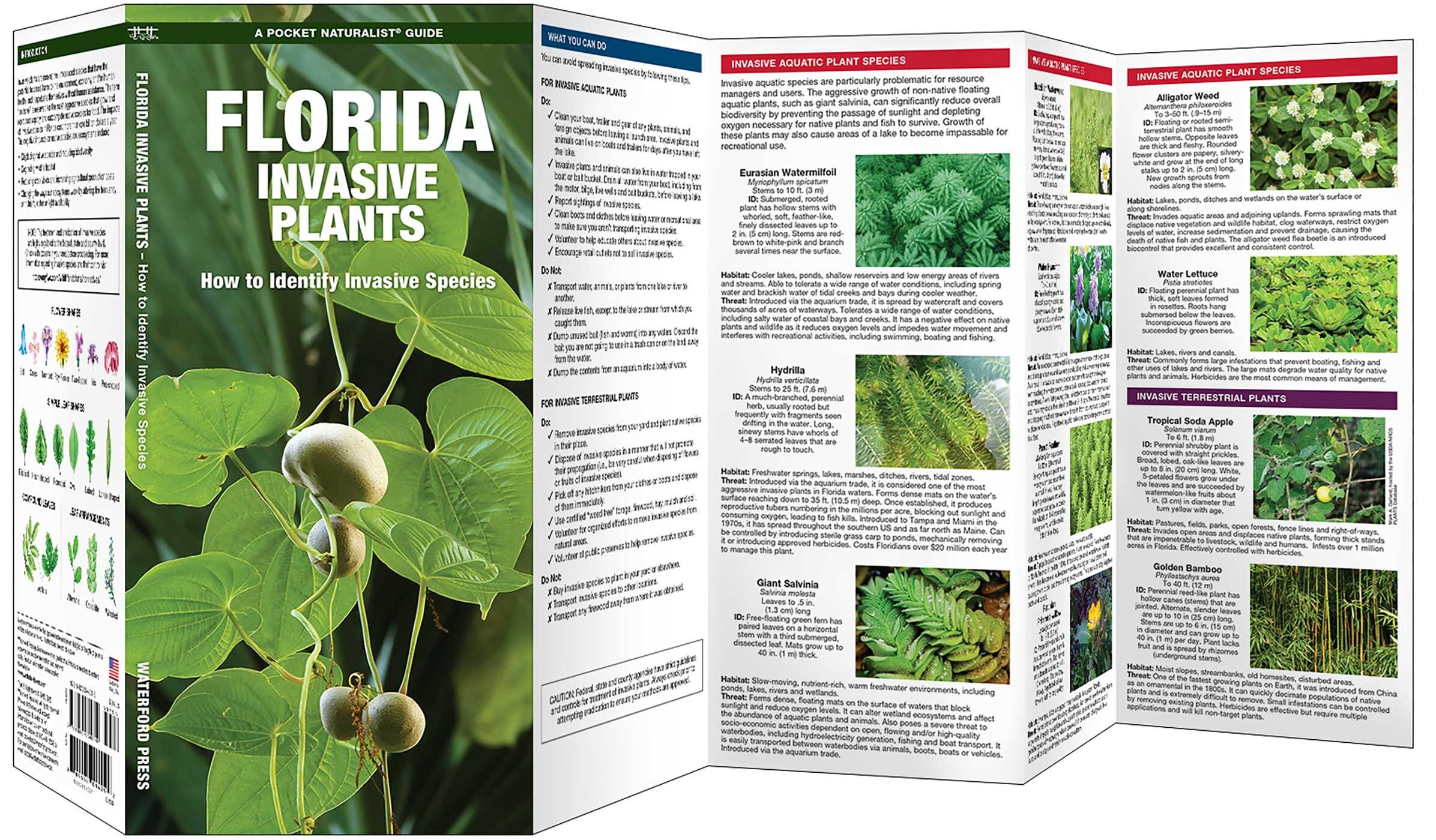 Florida Invasive Plants - Book Summary & Video | Official Publisher ...