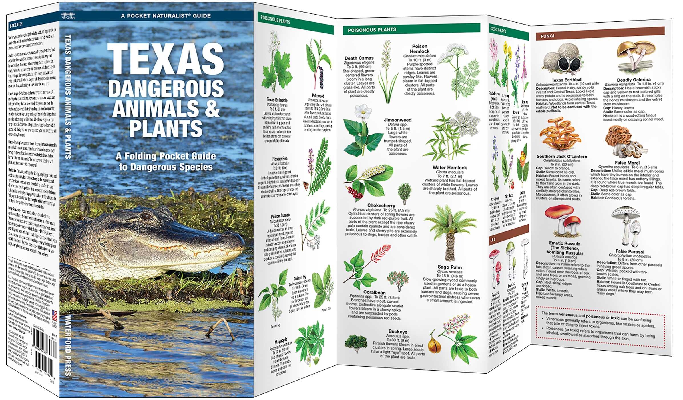 Texas Dangerous Animals & Plants - Book Summary & Video | Official ...