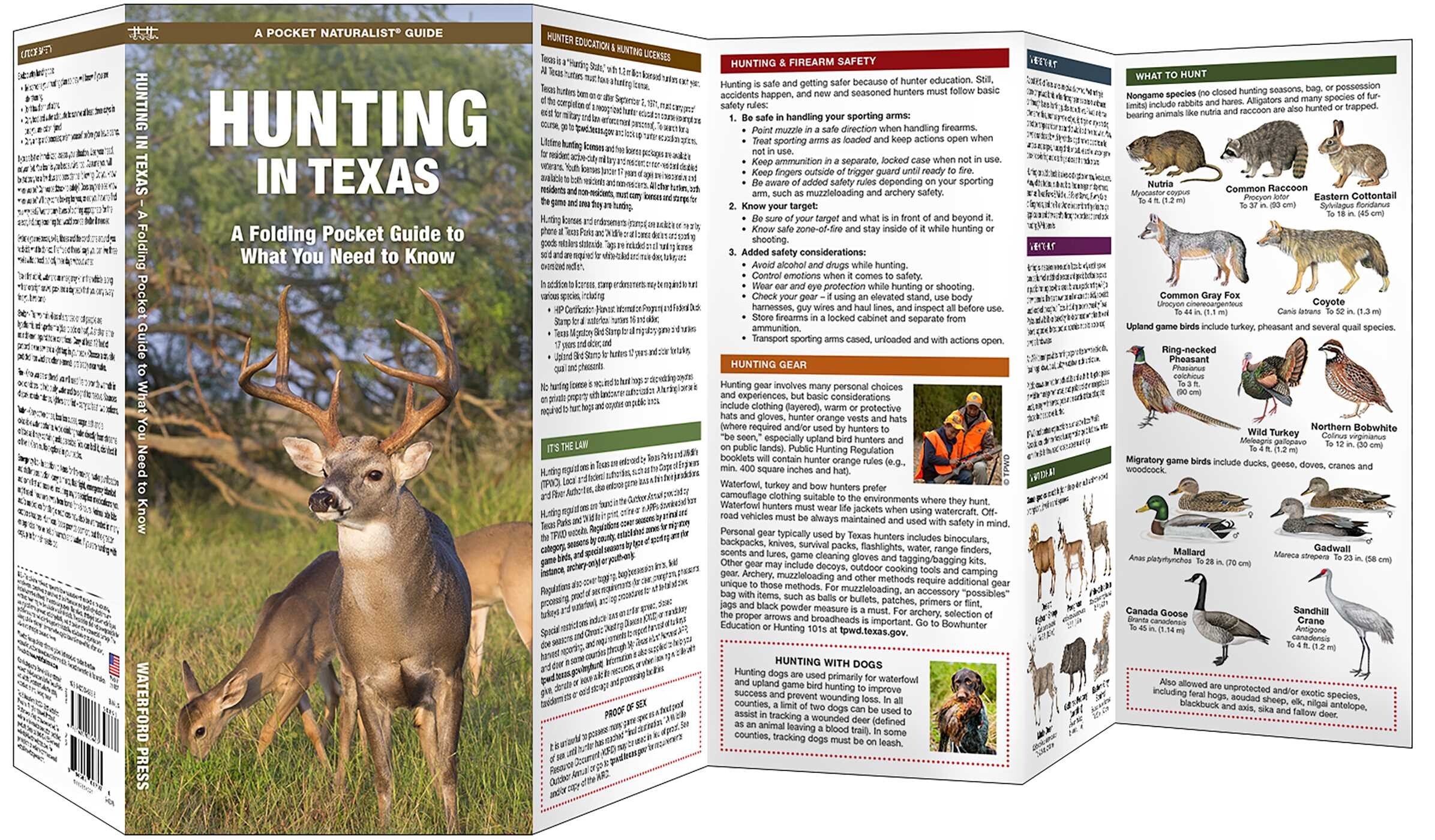 Hunting in Texas - Book Summary & Video | Official Publisher Page ...