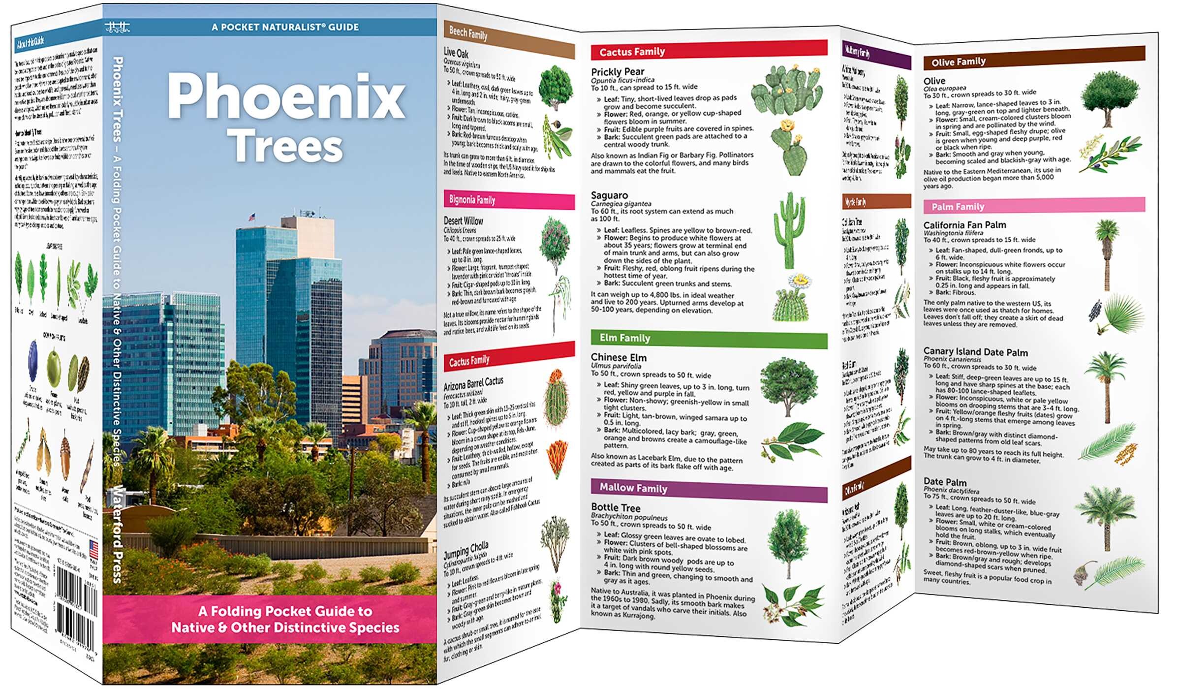 Phoenix Trees - Book Summary & Video | Official Publisher Page | Simon ...