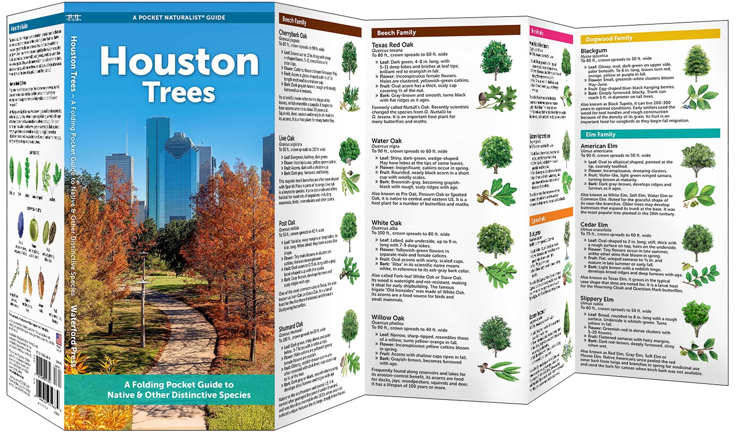 Houston Trees - Book Summary & Video | Official Publisher Page | Simon ...